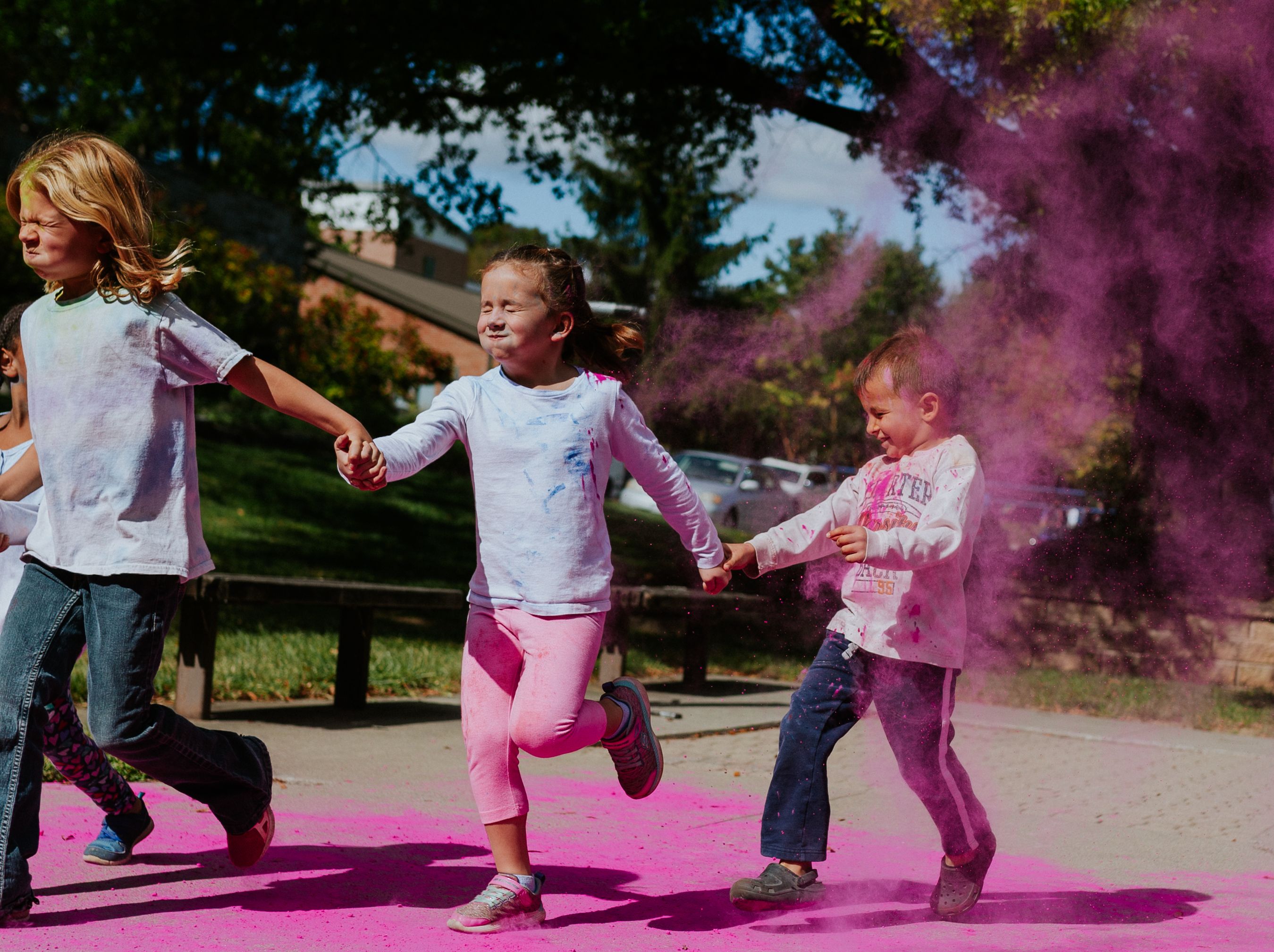 Purple Package Photos, Download The BEST Free Purple Package Stock ...