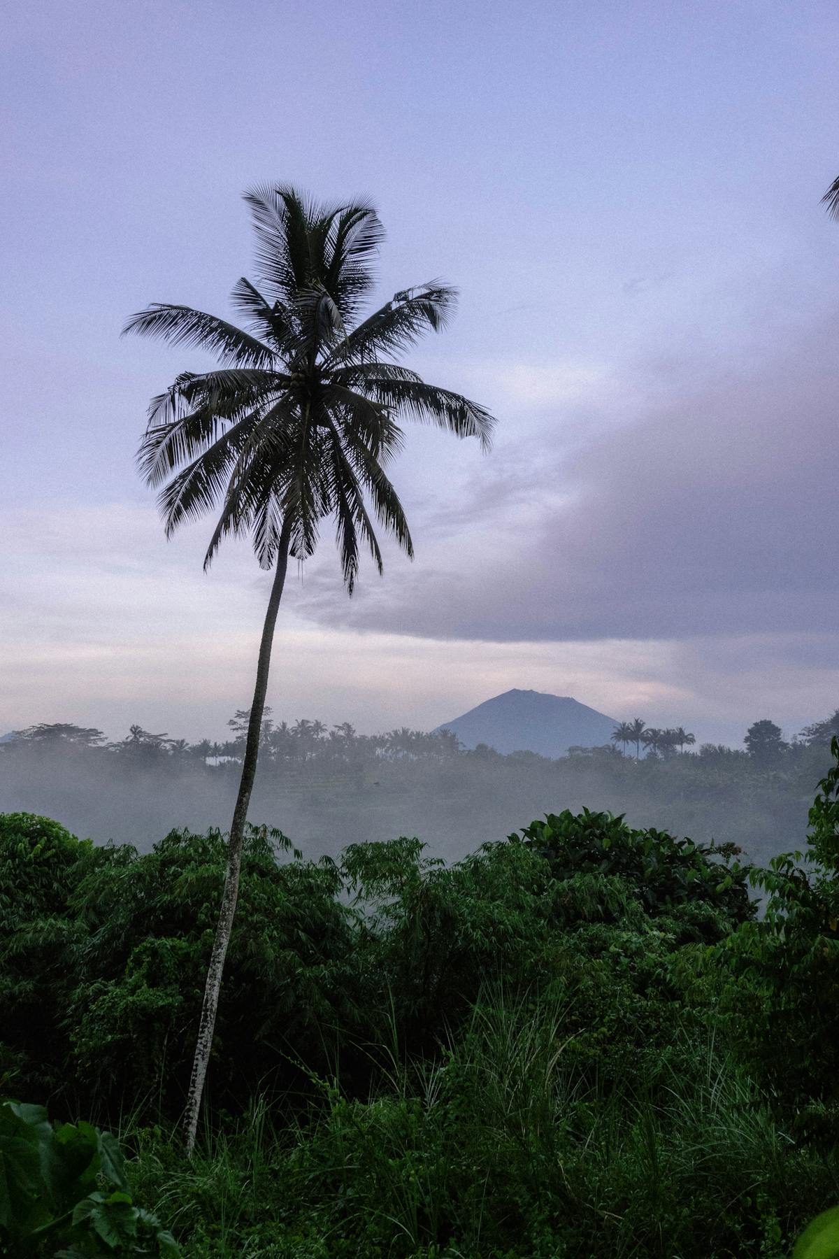 Muntain Photos, Download The BEST Free Muntain Stock Photos & HD Images