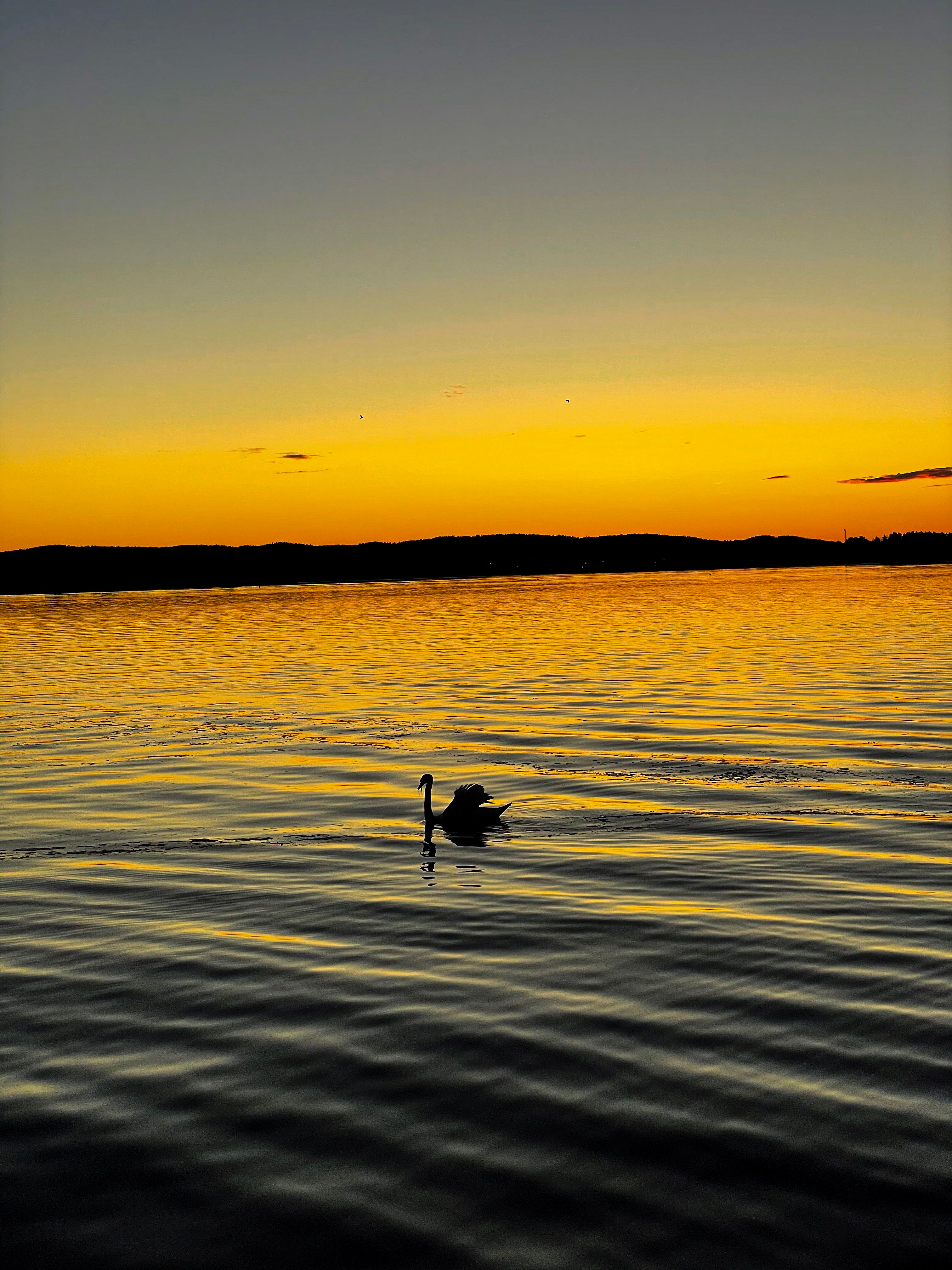 4k Sunsets Photos, Download The BEST Free 4k Sunsets Stock Photos & HD ...