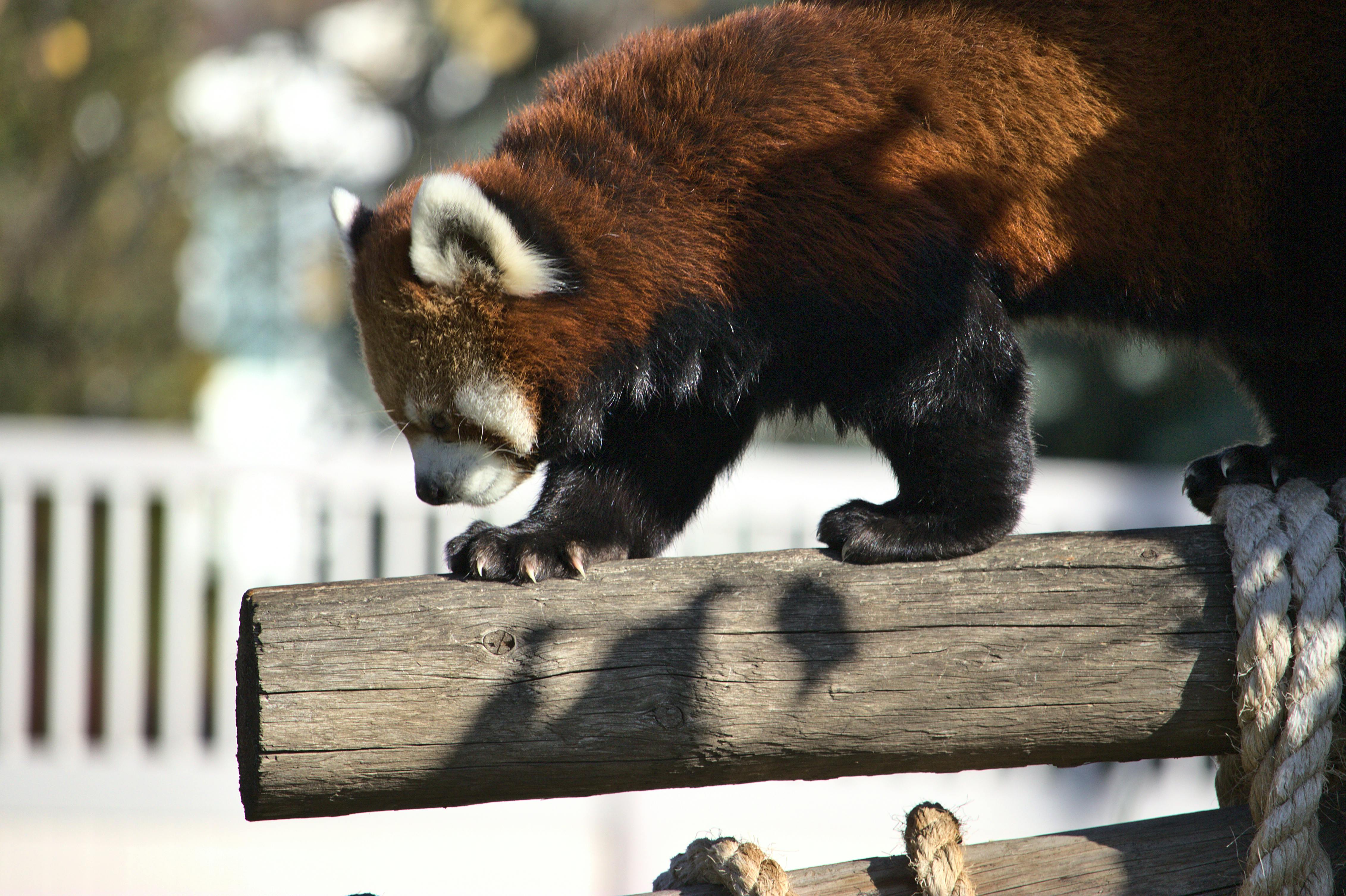 Christian Pearson - Photography