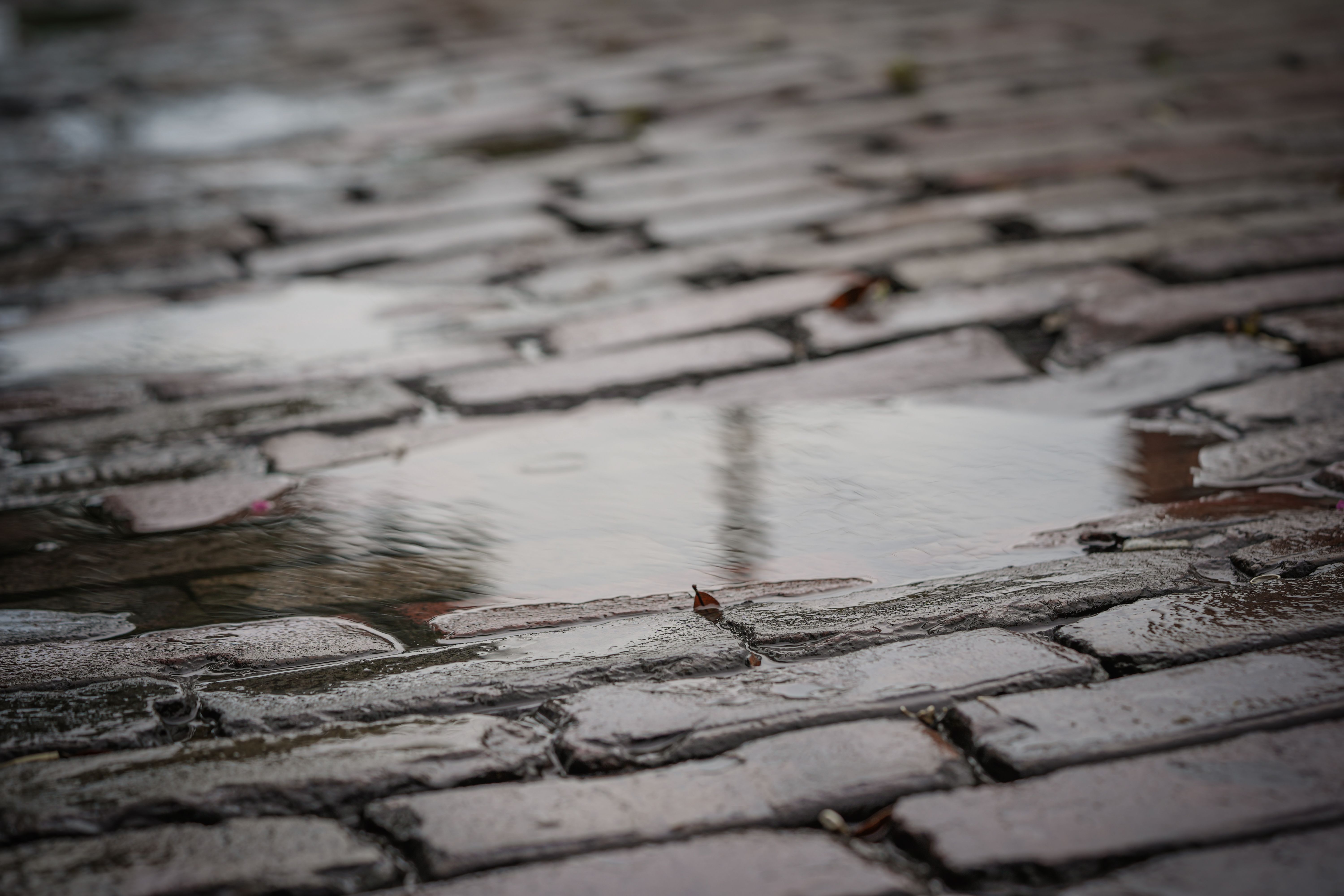 Puddle of Water on the Floor · Free Stock Photo