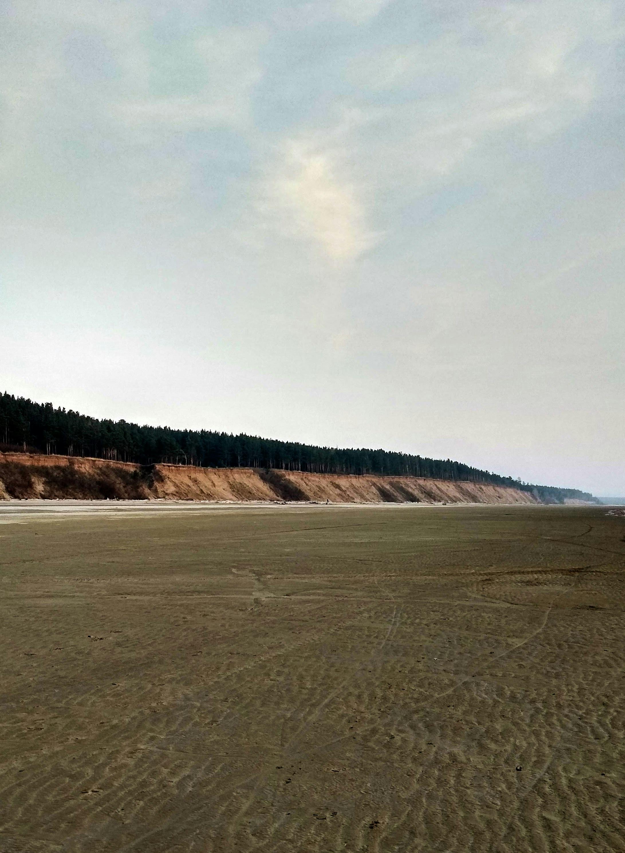 Grassland Photo · Free Stock Photo