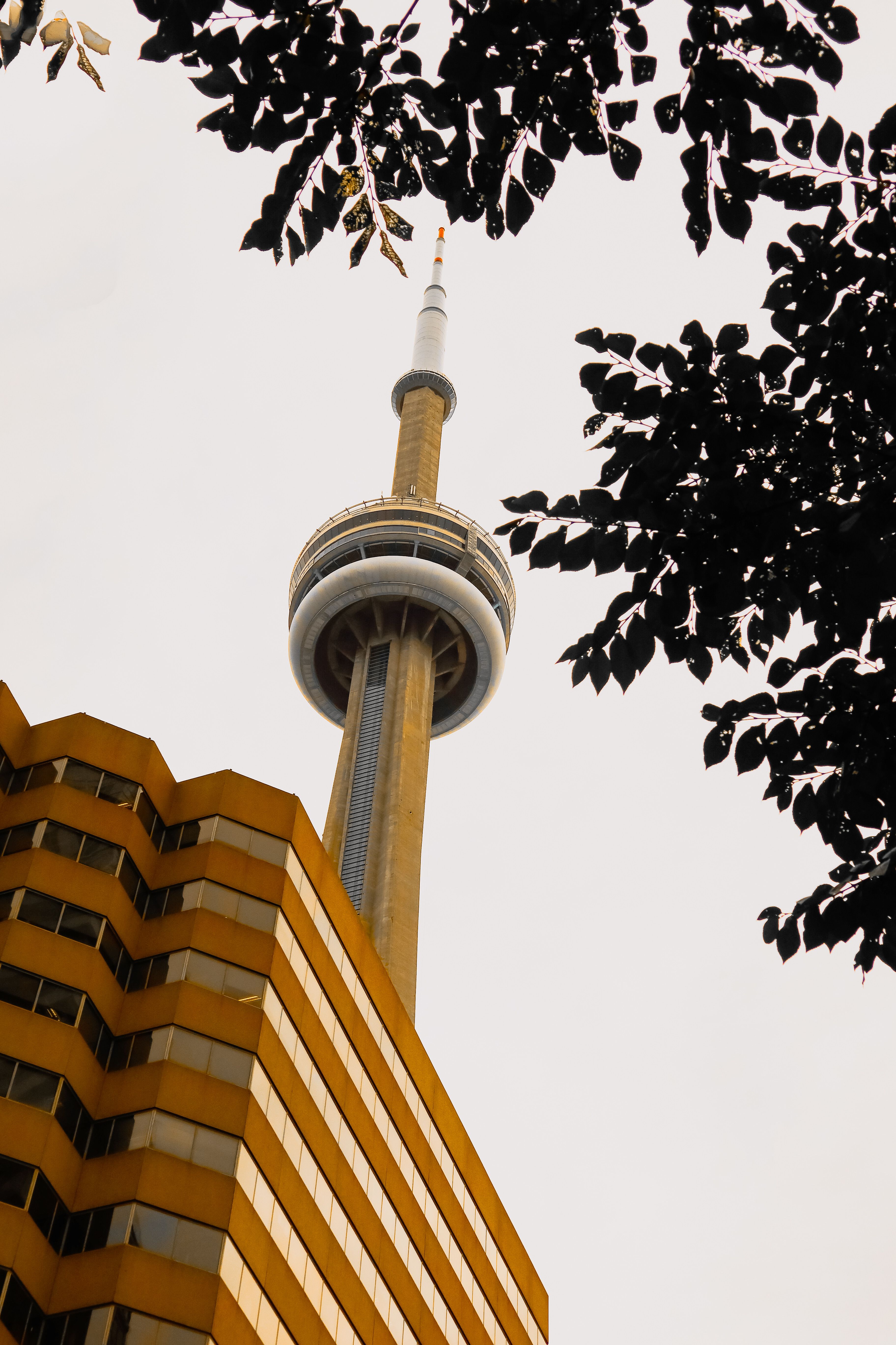 Broadcast Tower Reflection in Windows · Free Stock Photo