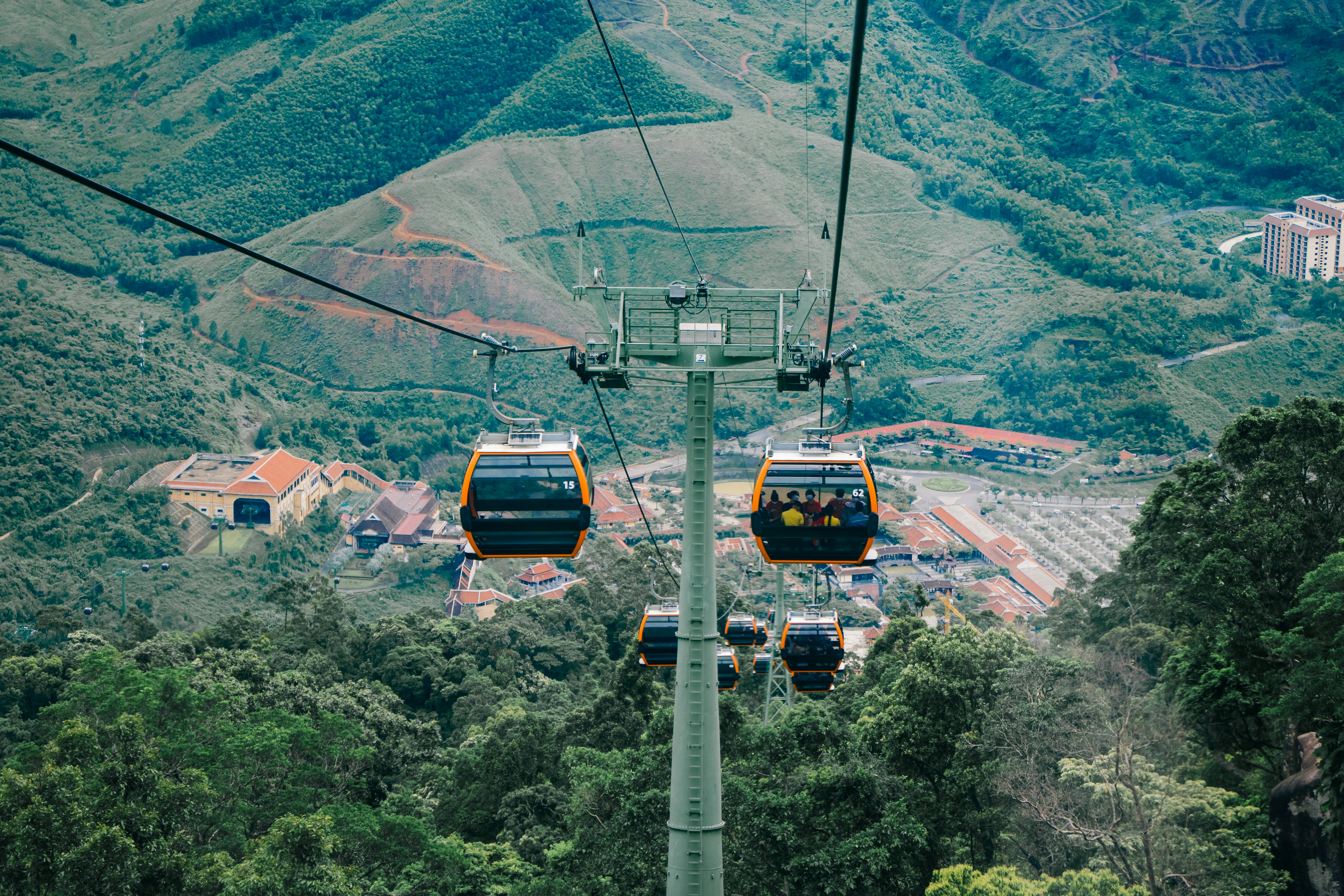 White Zip Line Bus Above on Green Leaved Trees · Free Stock Photo
