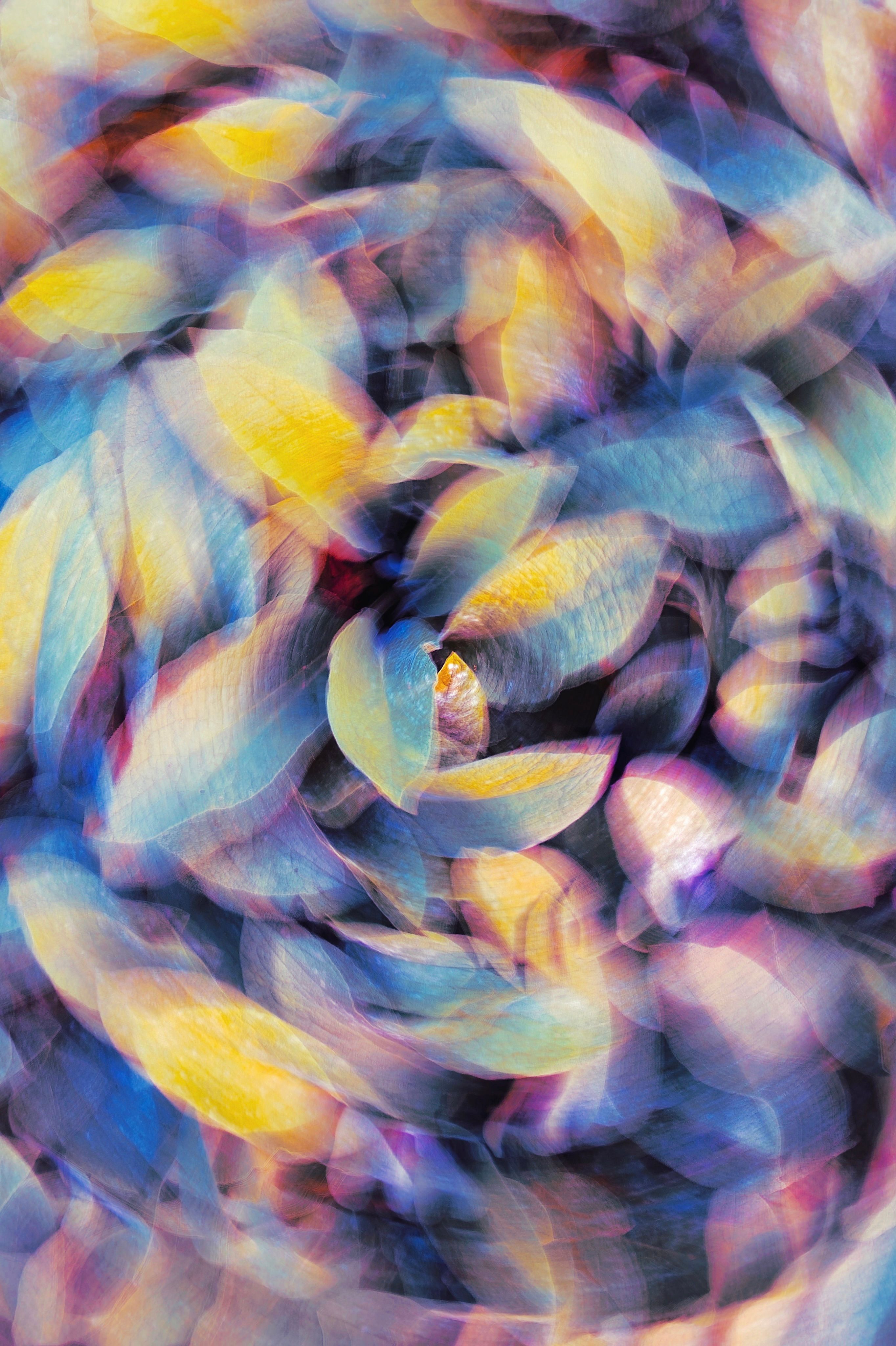 Experimental Photos, Download The BEST Free Experimental Stock Photos ...