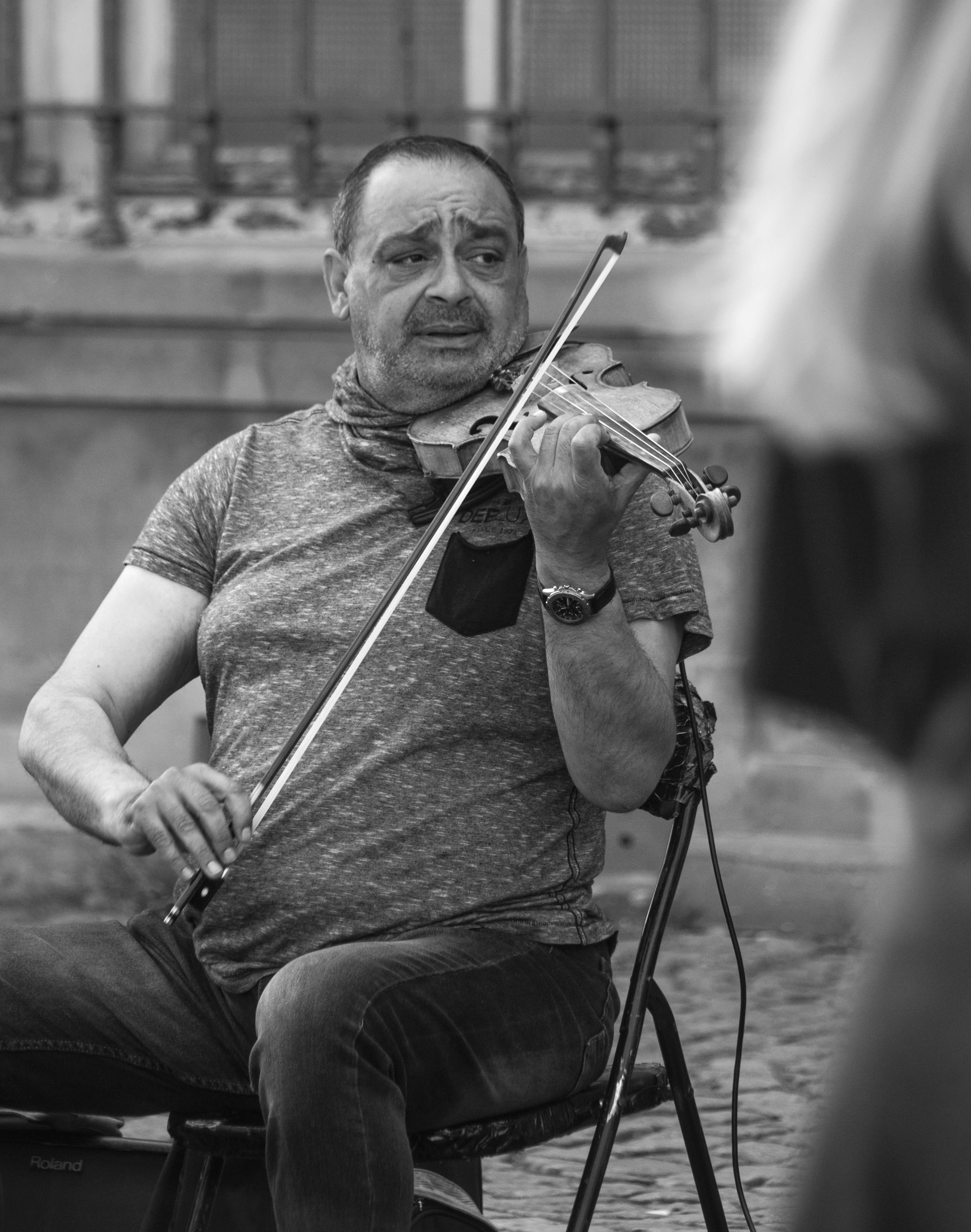 Fiddler in Resort · Free Stock Photo