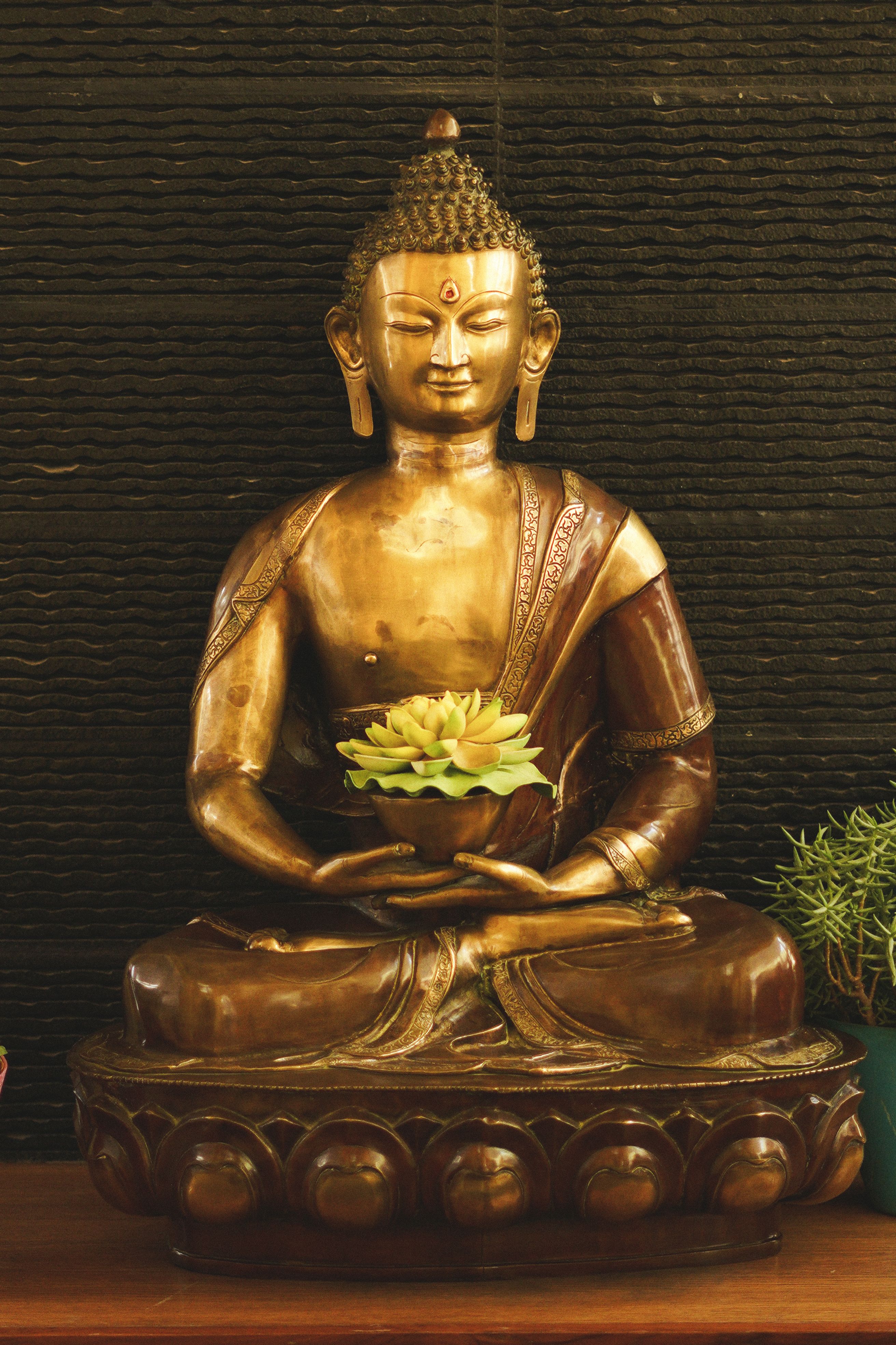 Lotus With Buddha Photos, Download The BEST Free Lotus With Buddha ...