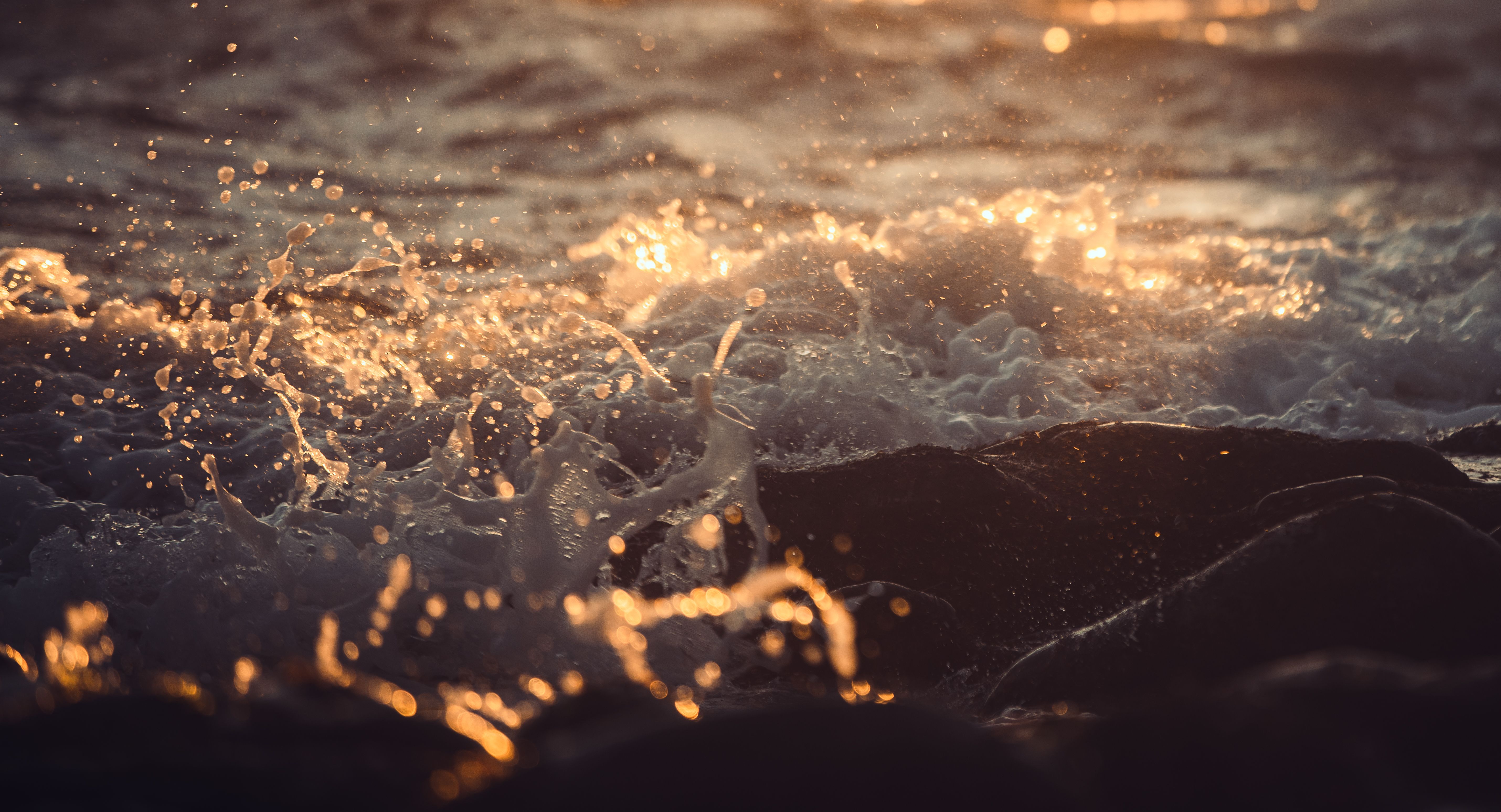 Close-Up Shot of Sea Foam · Free Stock Photo