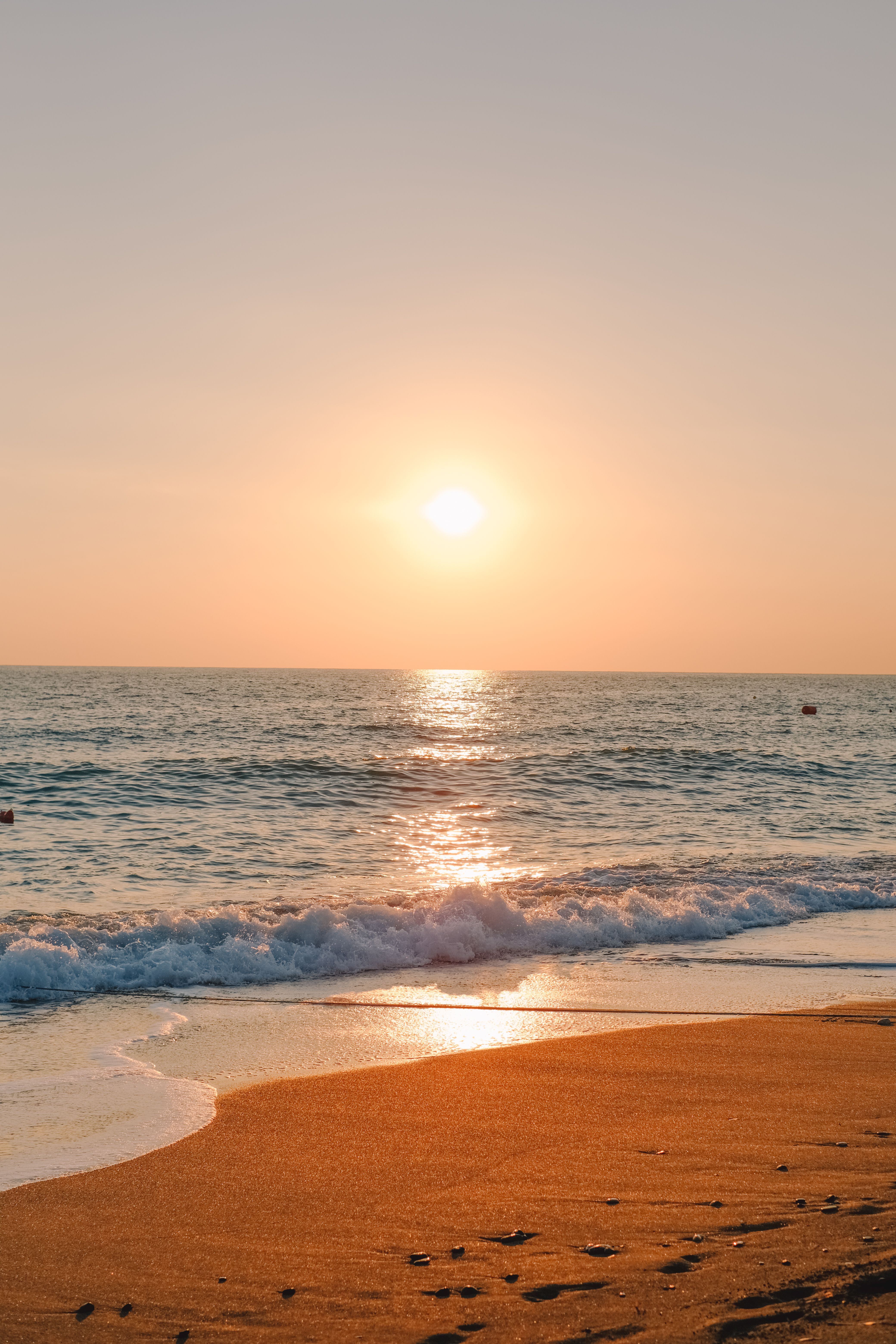 The Beach During the Golden Hour · Free Stock Photo