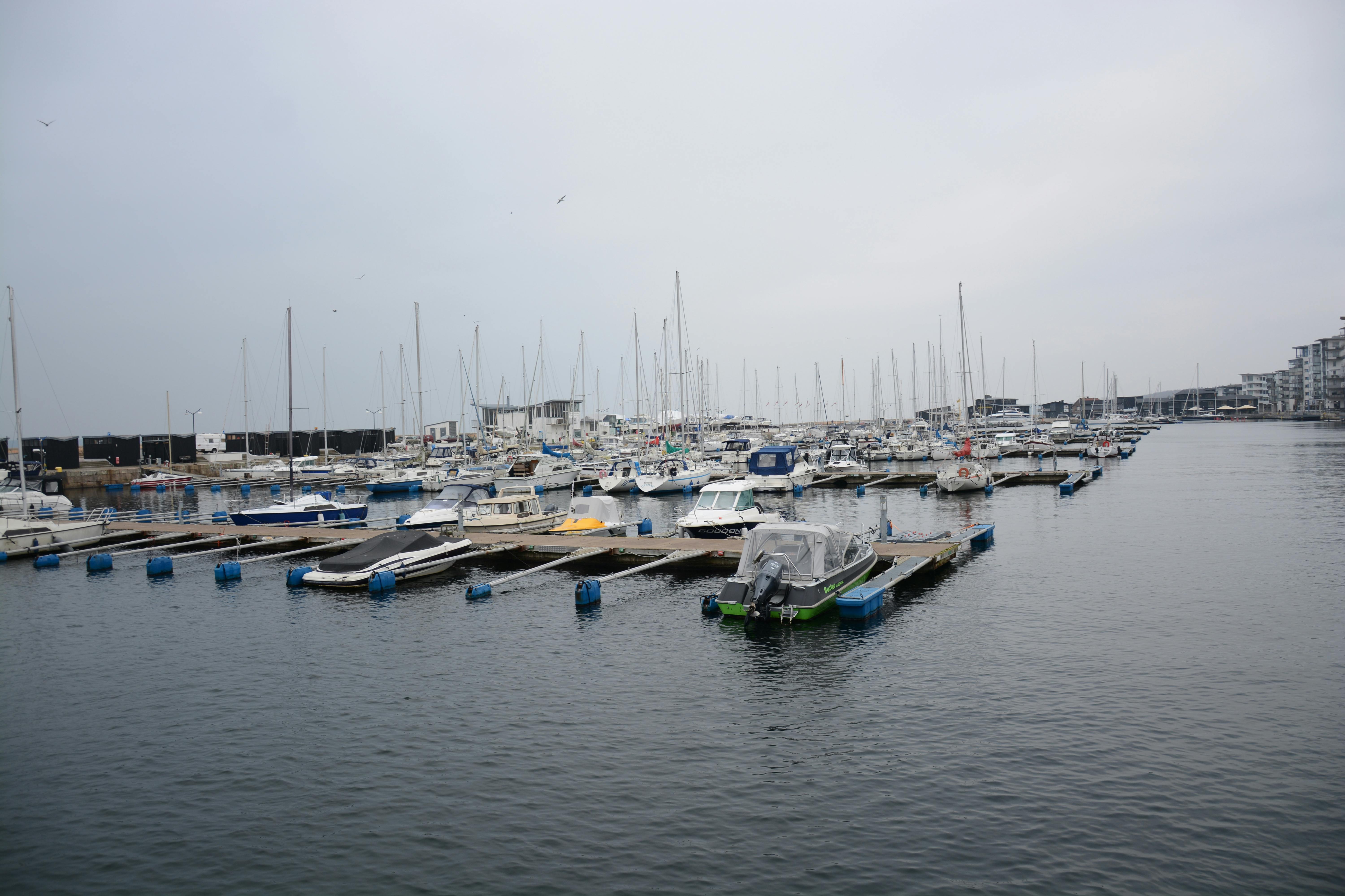 Boats at a Docking Area · Free Stock Photo