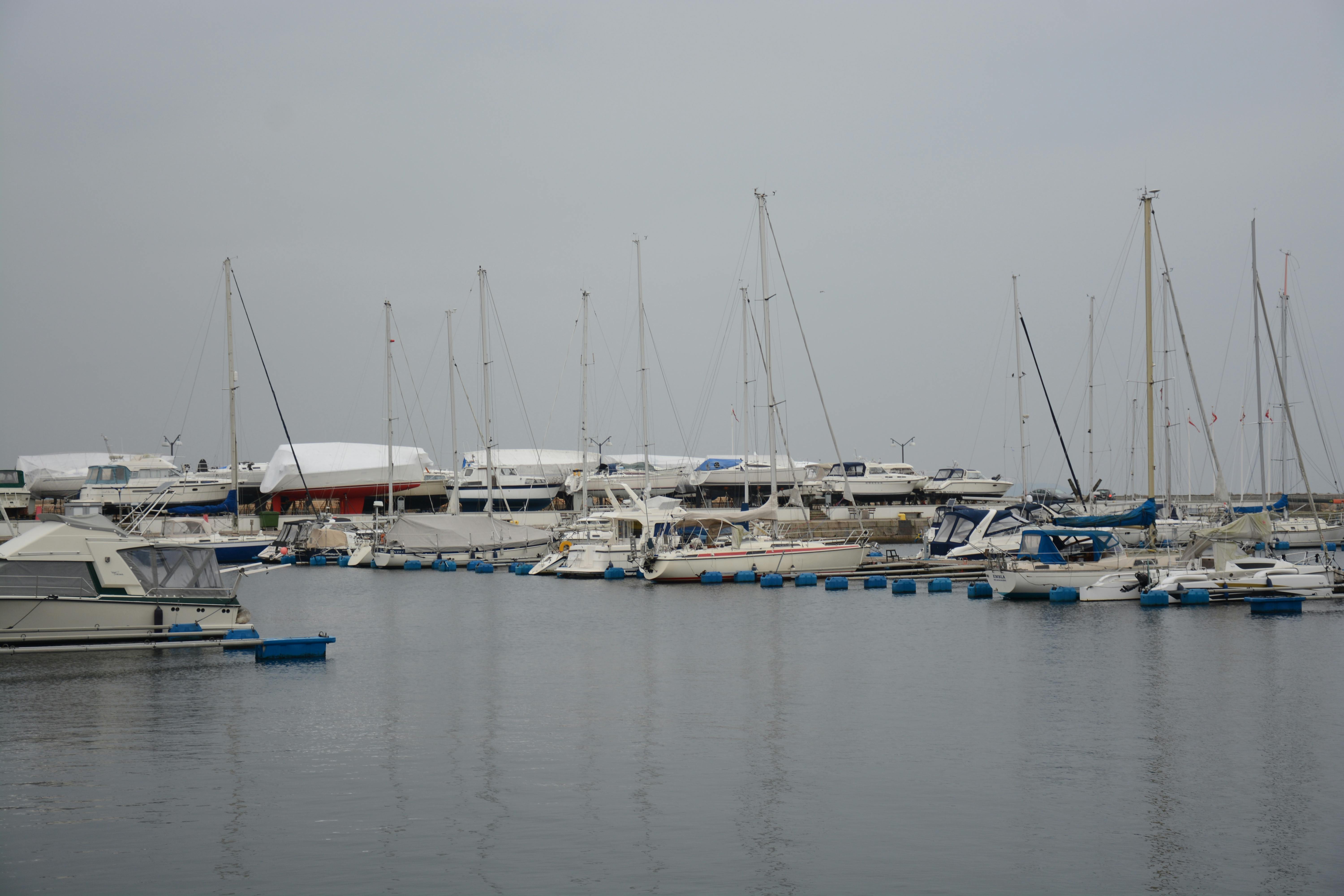 White Patrol-rescue Boat Near Brown Wooden Sea Dock · Free Stock Photo