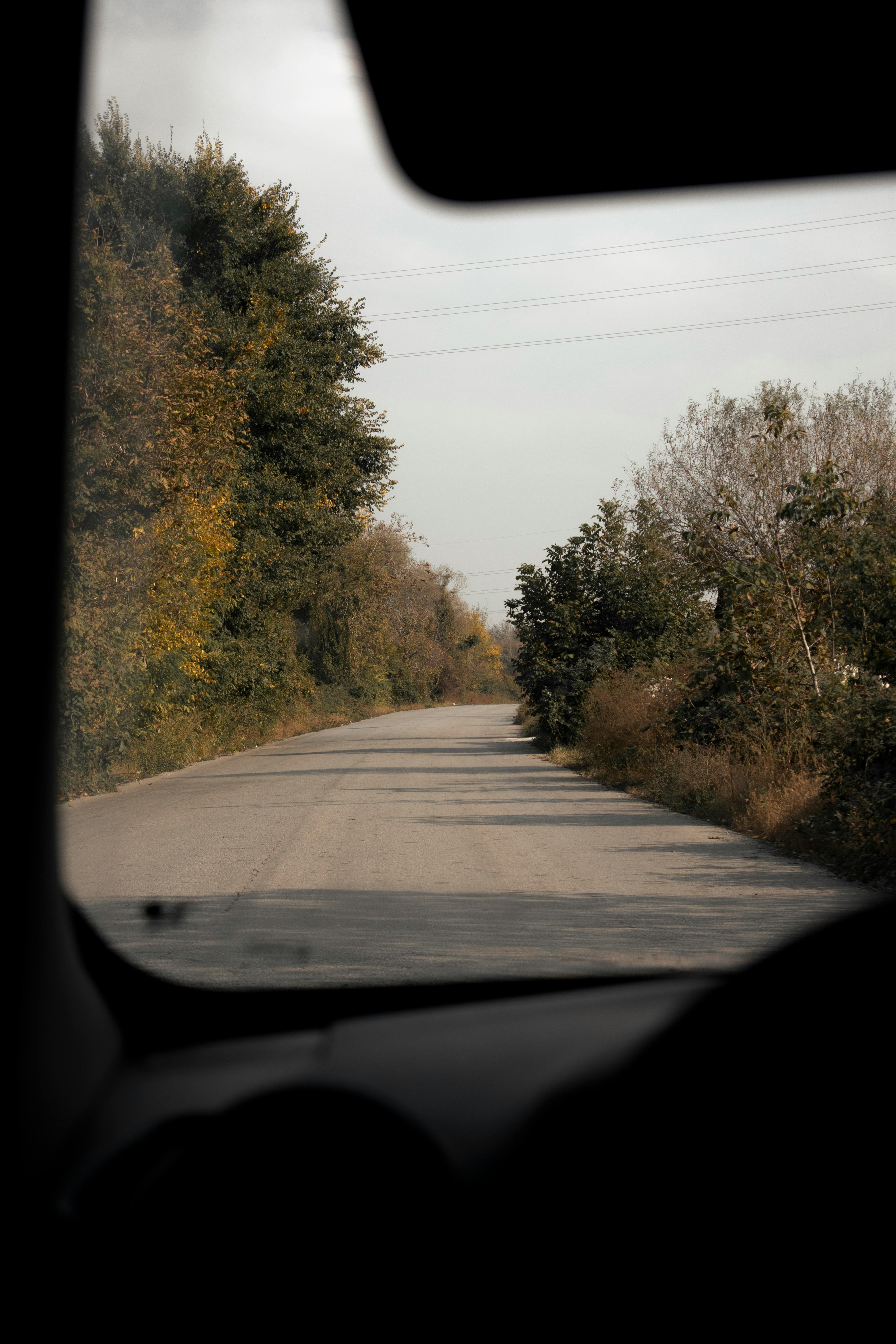 A Car on a Road Between Green Trees · Free Stock Photo