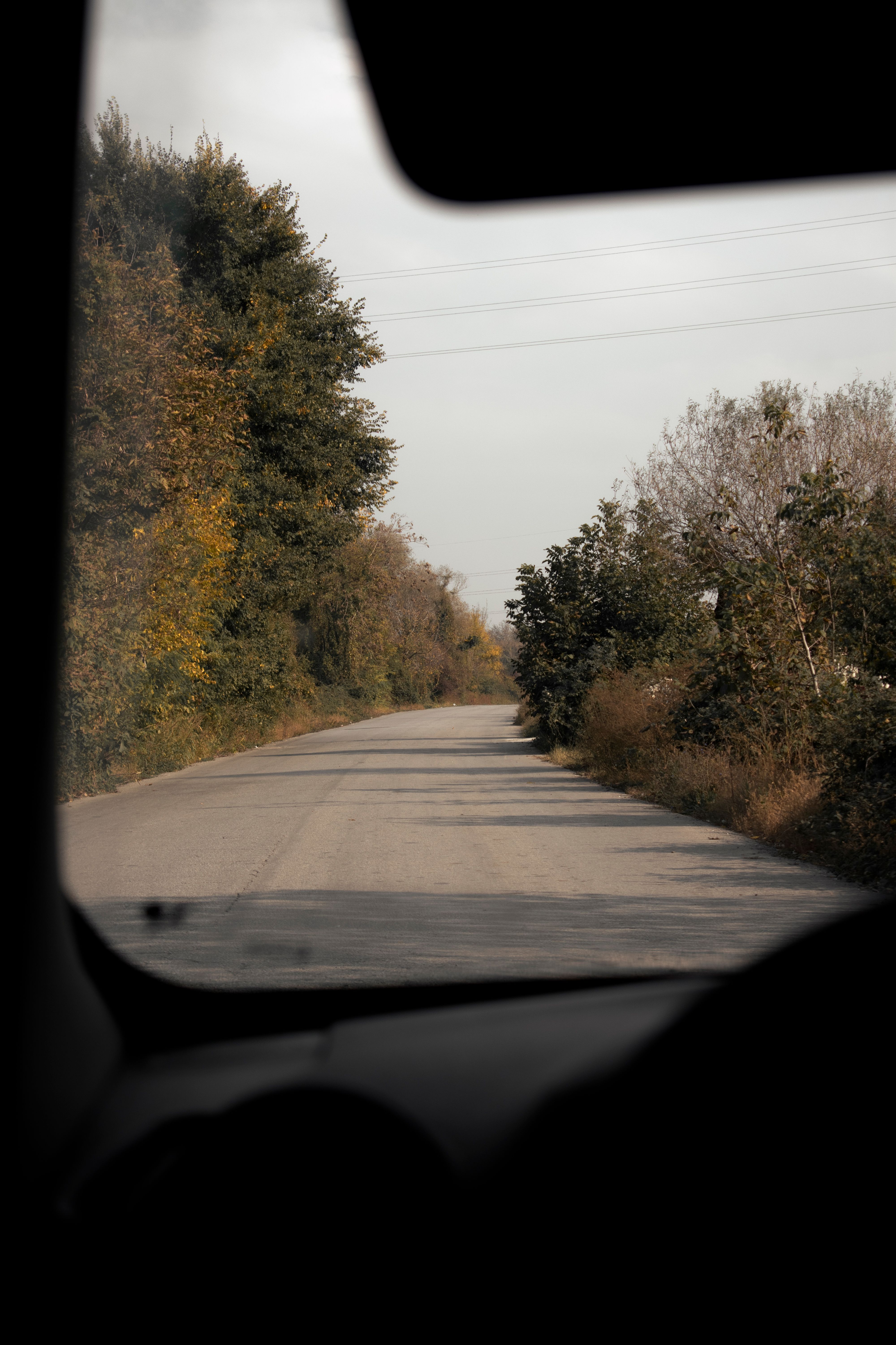 Car Driving Down a Road Surrounded by Trees · Free Stock Photo
