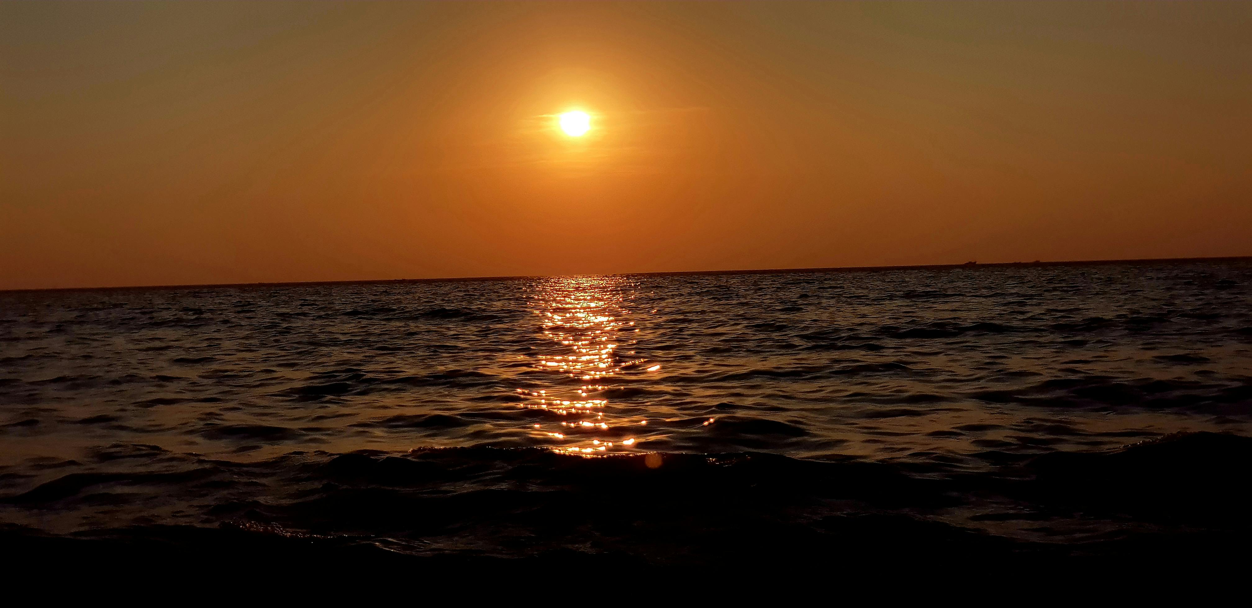 NEIL RASQUINHA - Photography