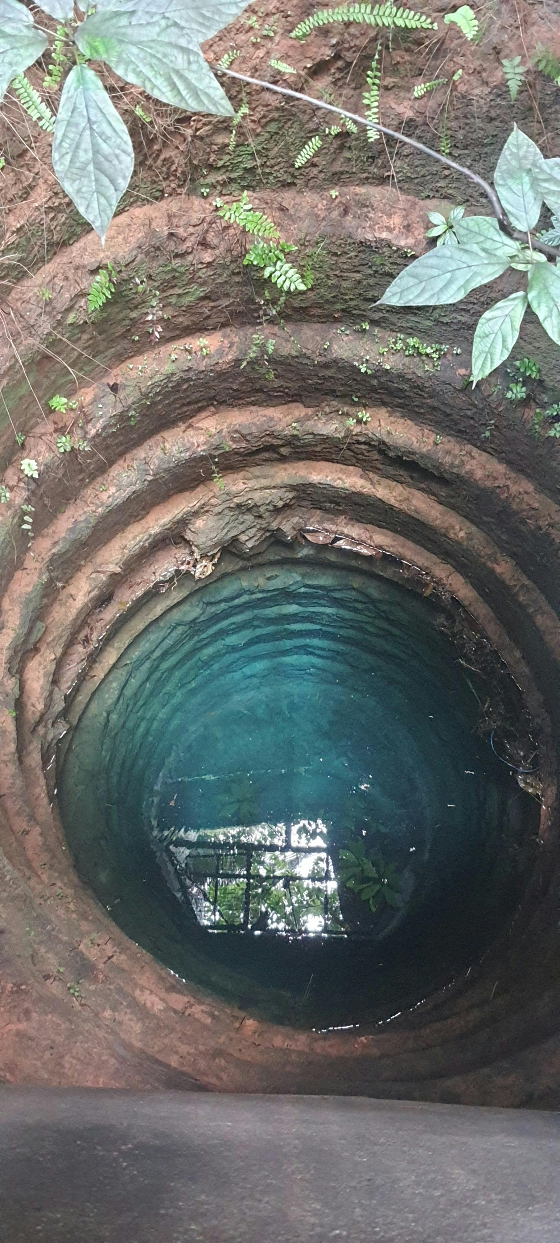 NEIL RASQUINHA - Photography