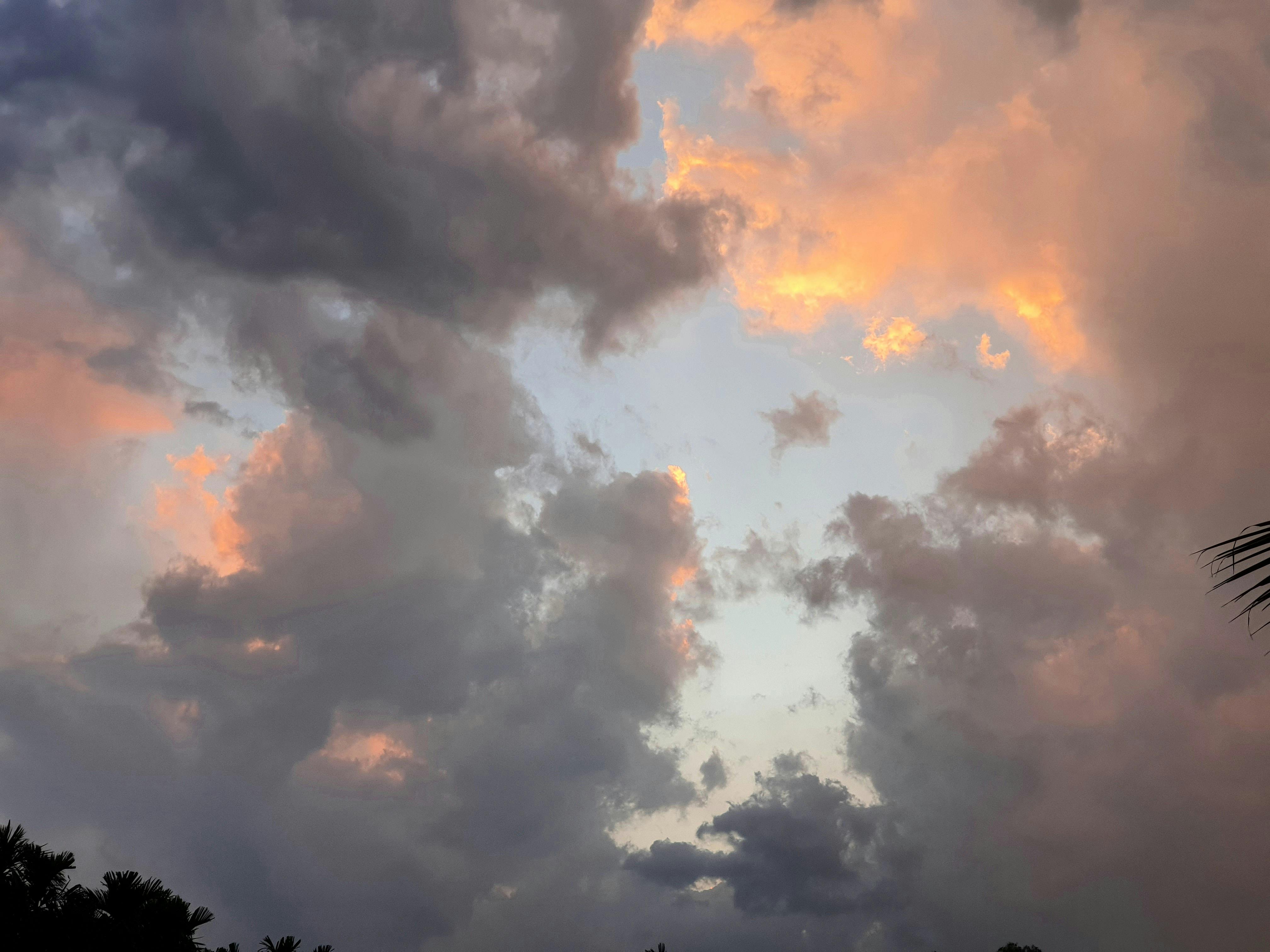 NEIL RASQUINHA - Photography