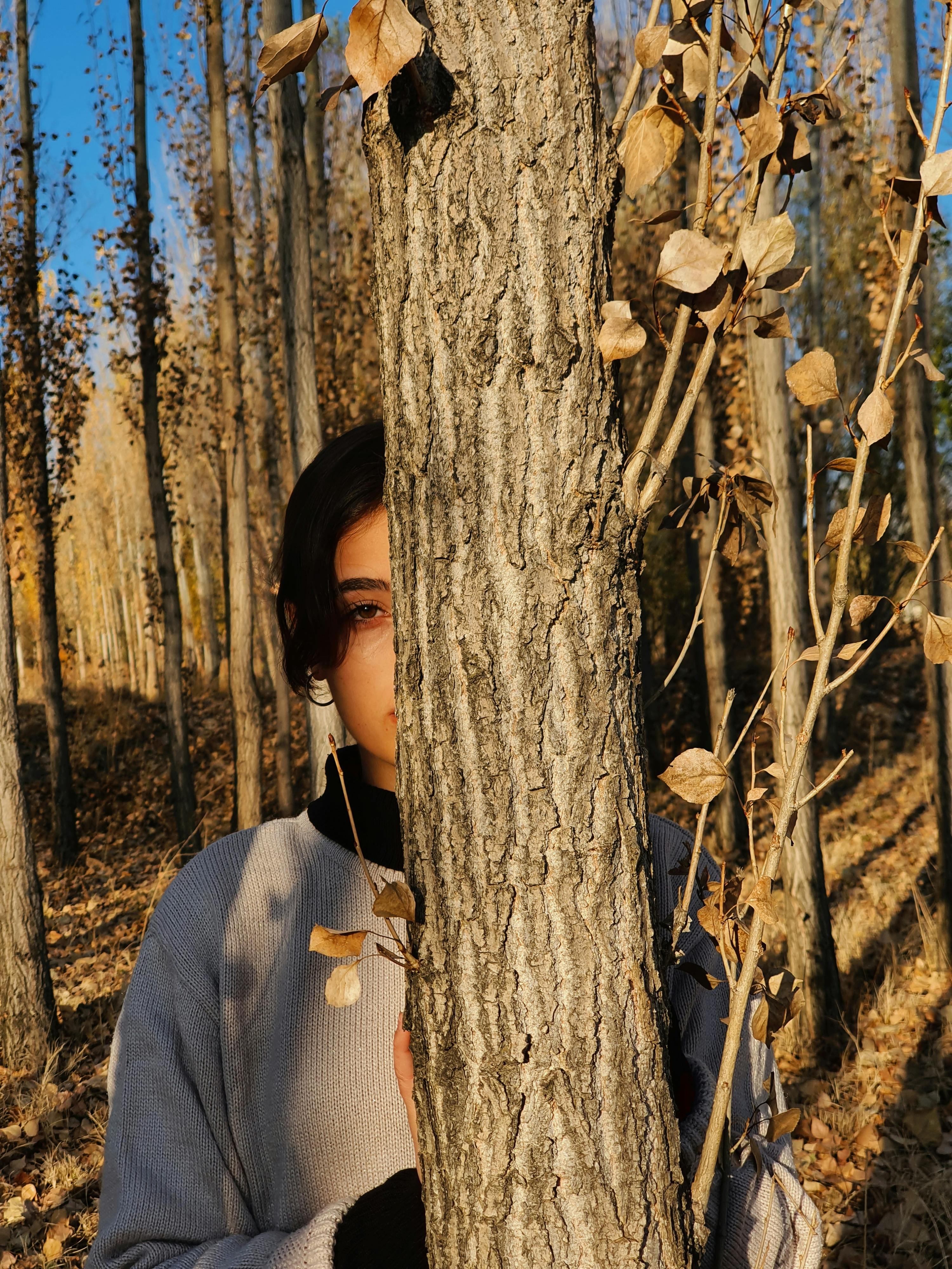Person in the Forest Standing Behind a Tree Trunk · Free Stock Photo