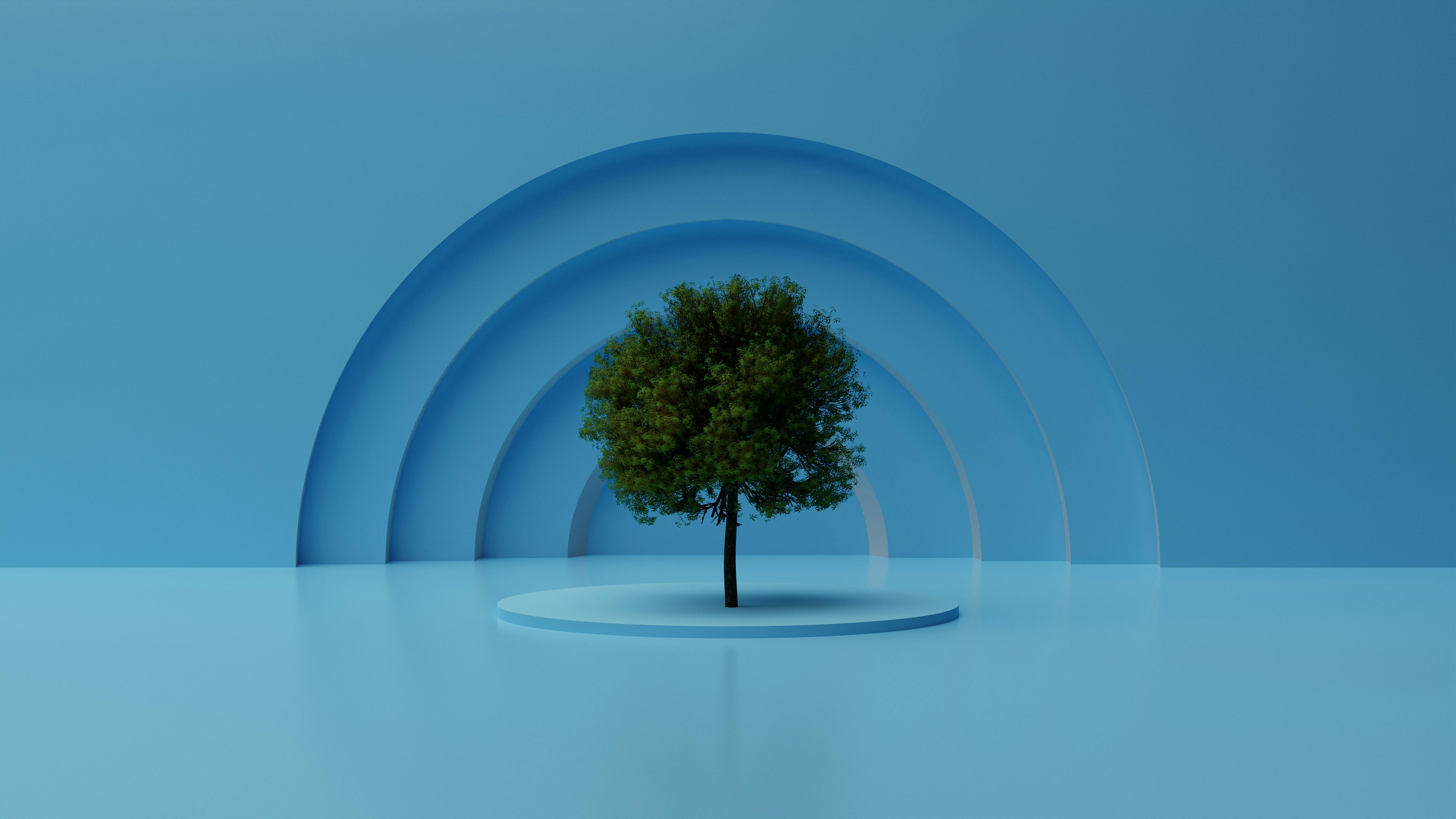 A Tree on a Blue Background · Free Stock Photo
