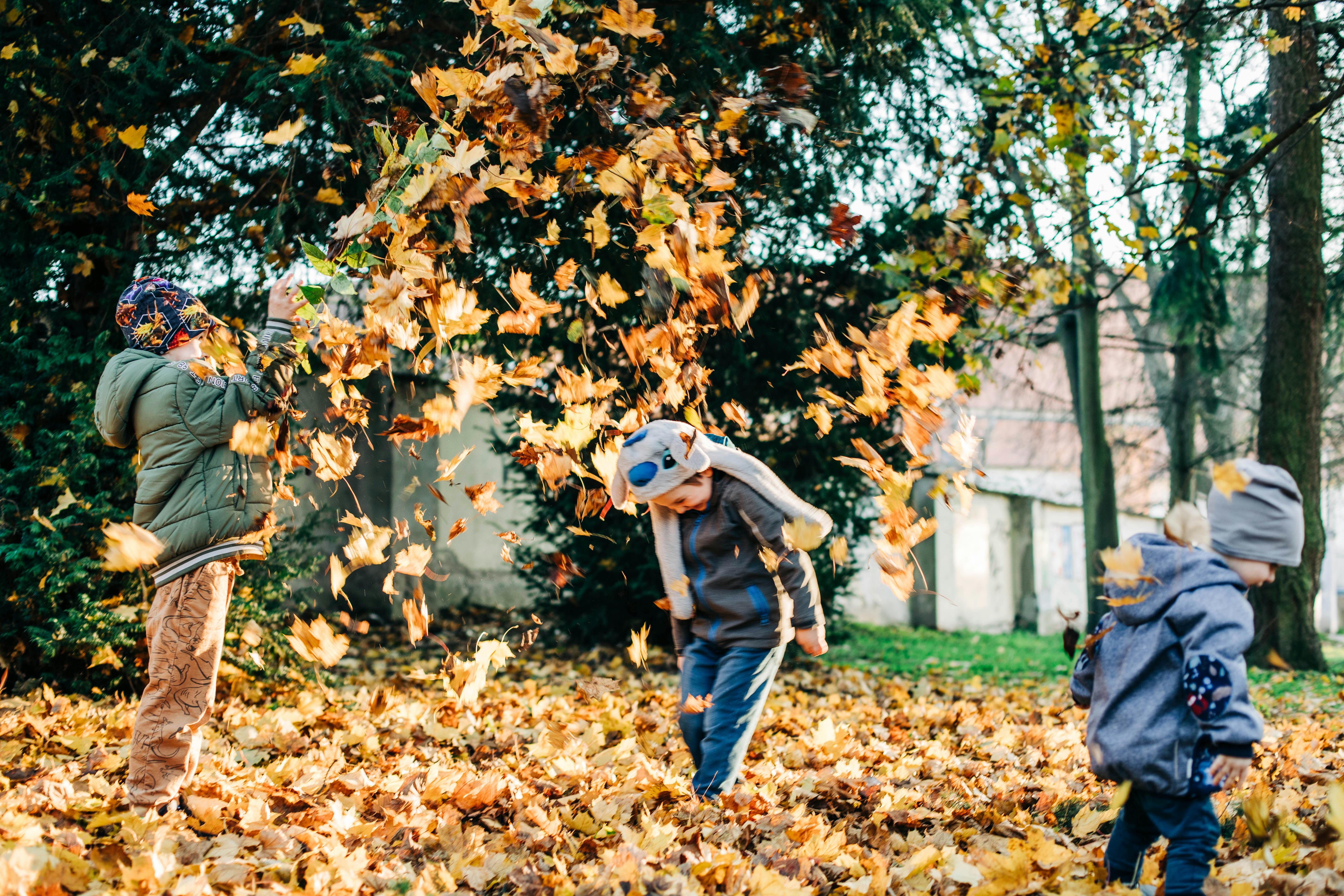 Children Throwing an Autumn Leaves · Free Stock Photo
