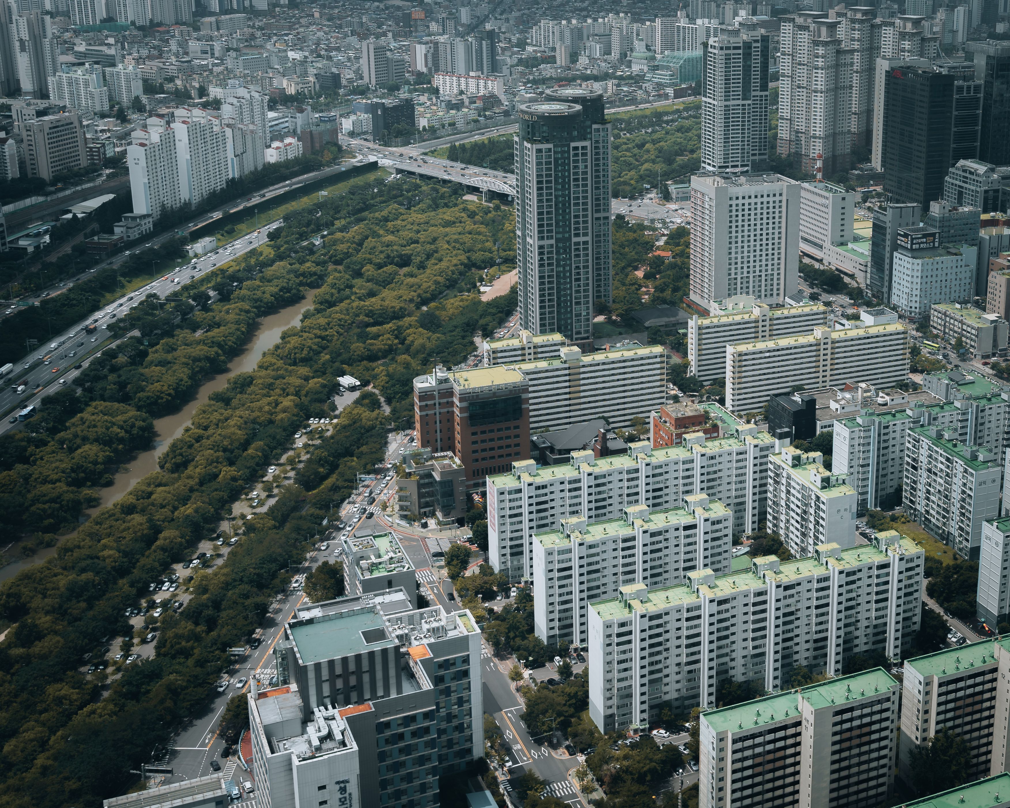 Seoul Signage · Free Stock Photo