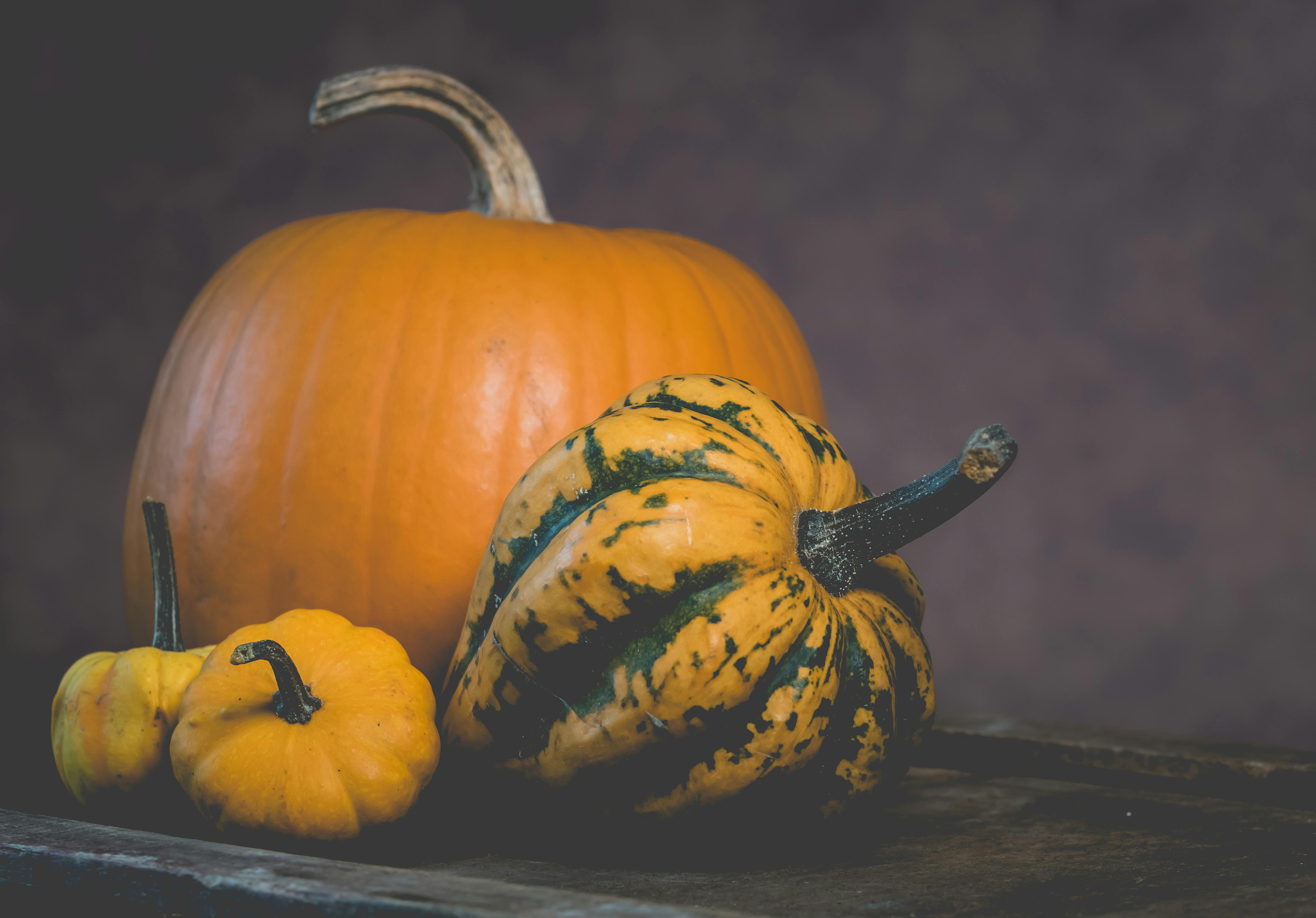 Bunch of Squash · Free Stock Photo