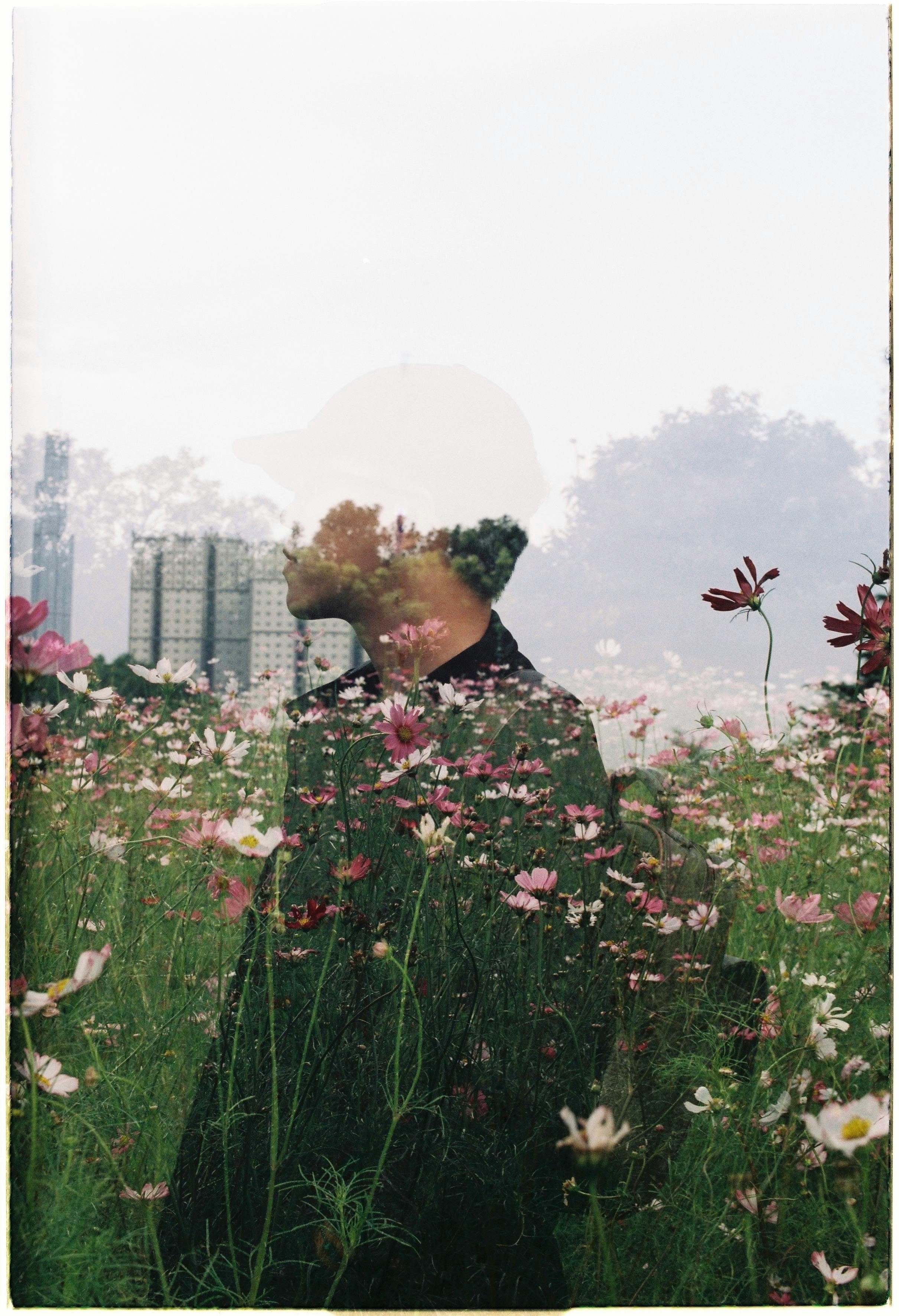 Special Effects Photos, Download The BEST Free Special Effects Stock ...