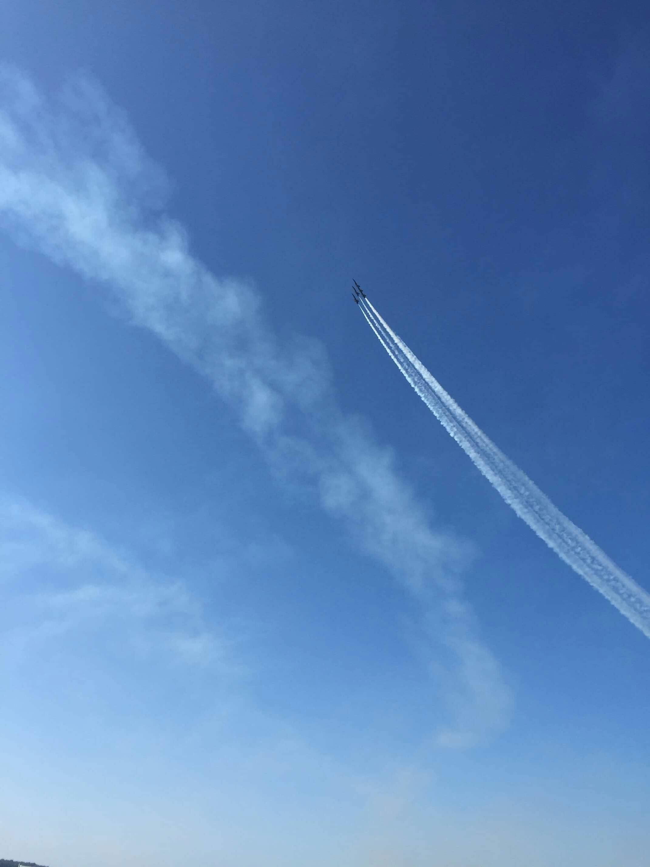 Annie Bailey - Fotografía