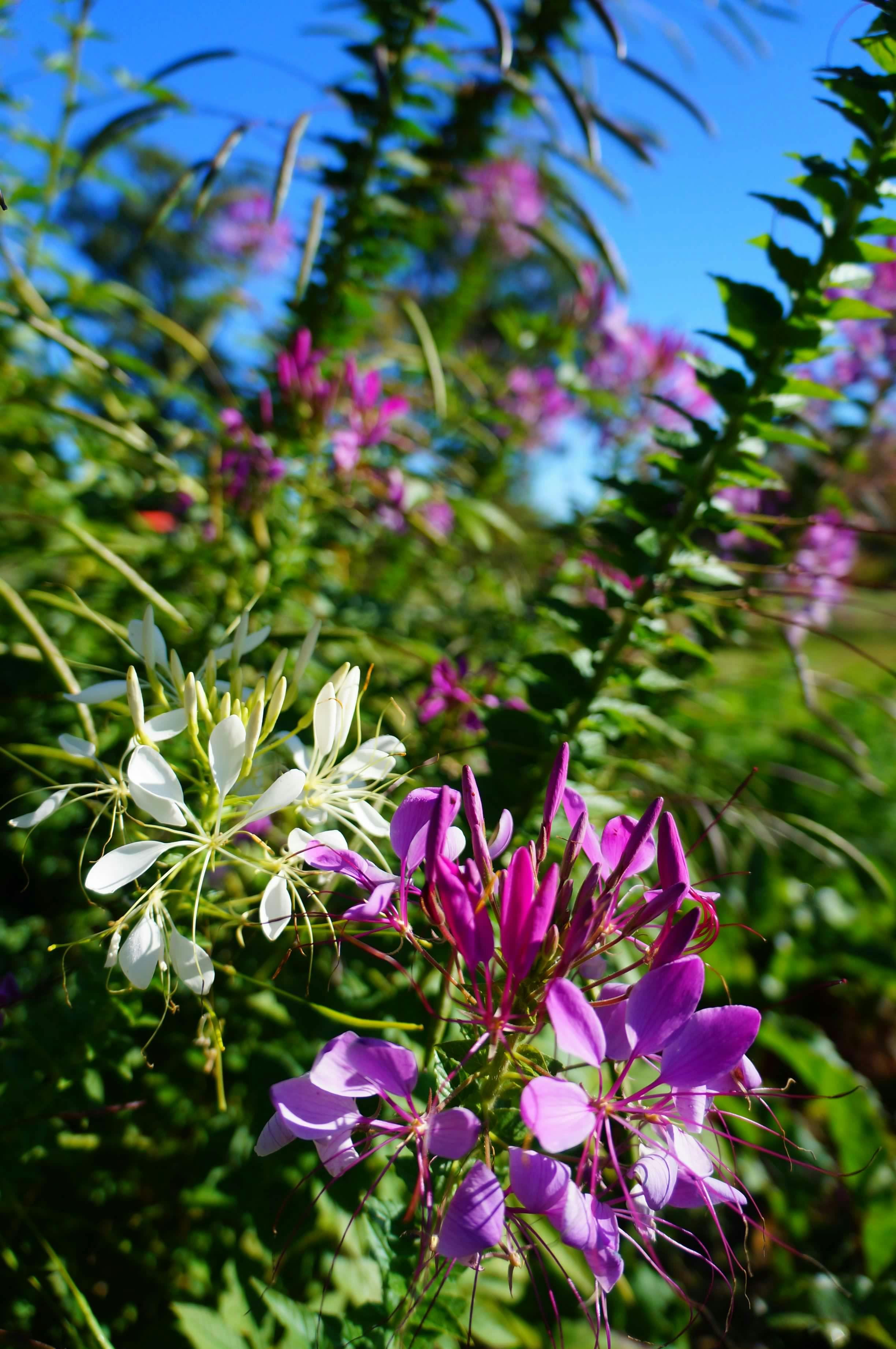 Annie Bailey - Fotografía