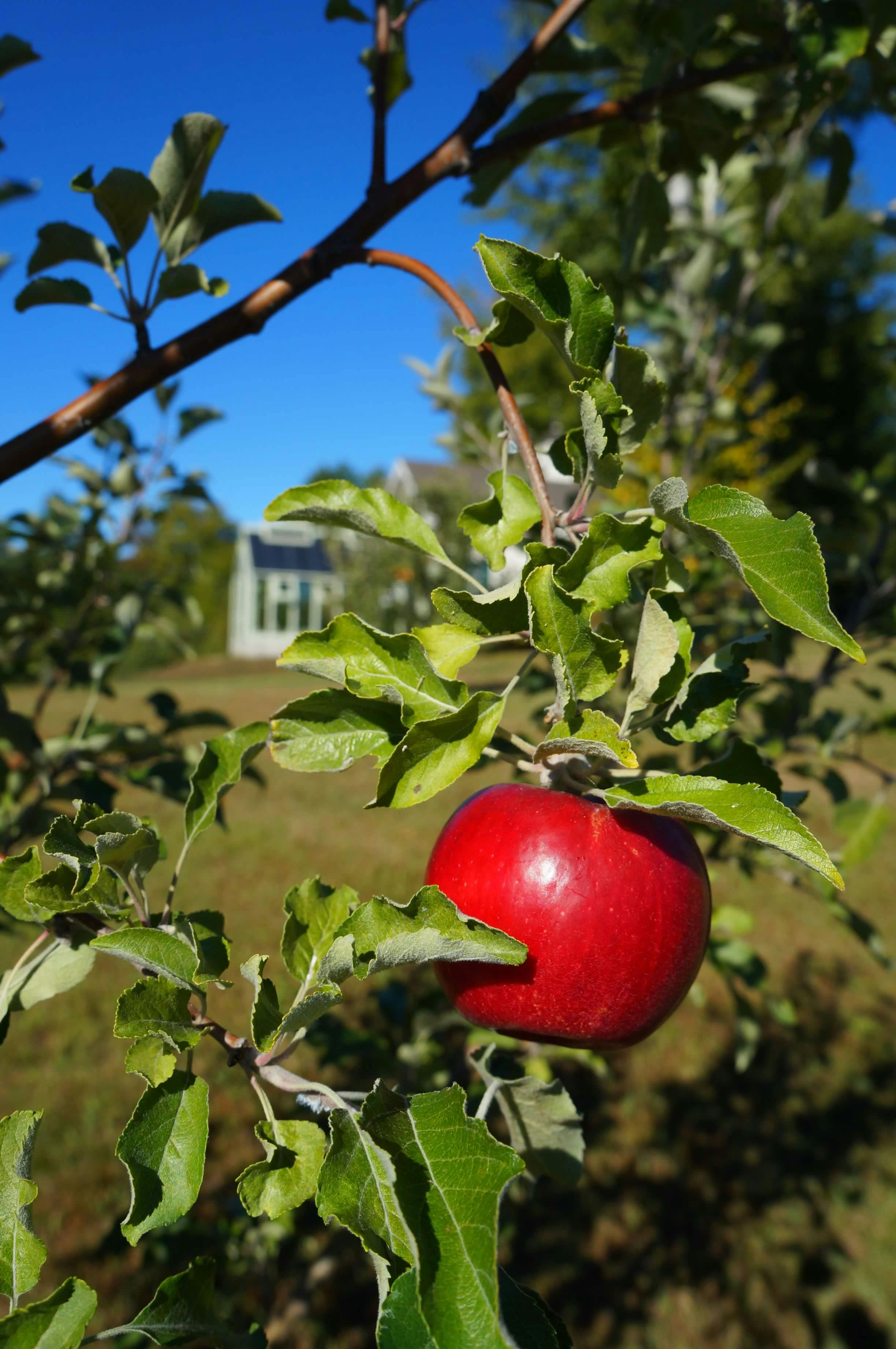 Annie Bailey - Fotografía