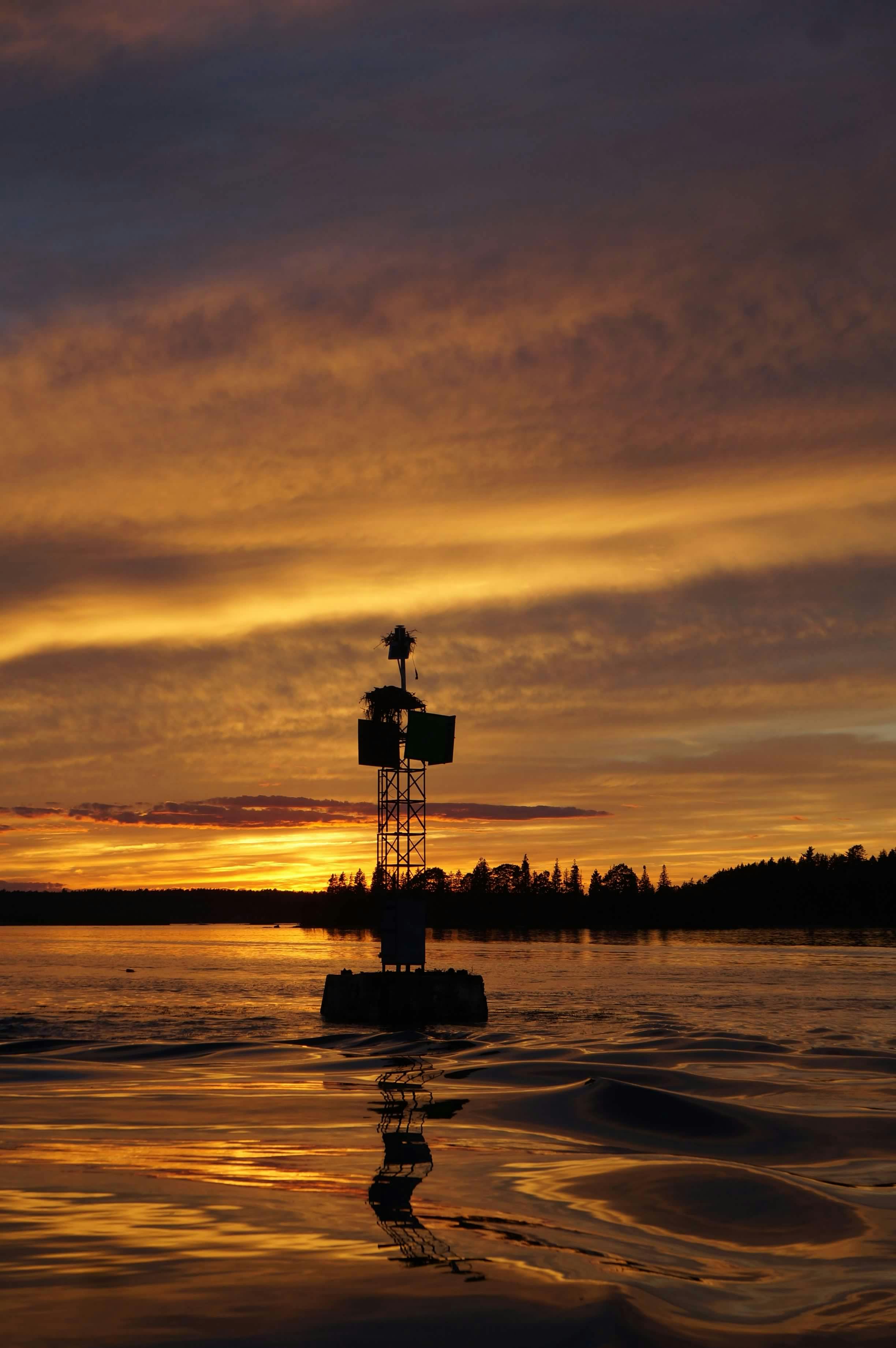 Bird Nest on Tower Floating on Lake · Free Stock Photo