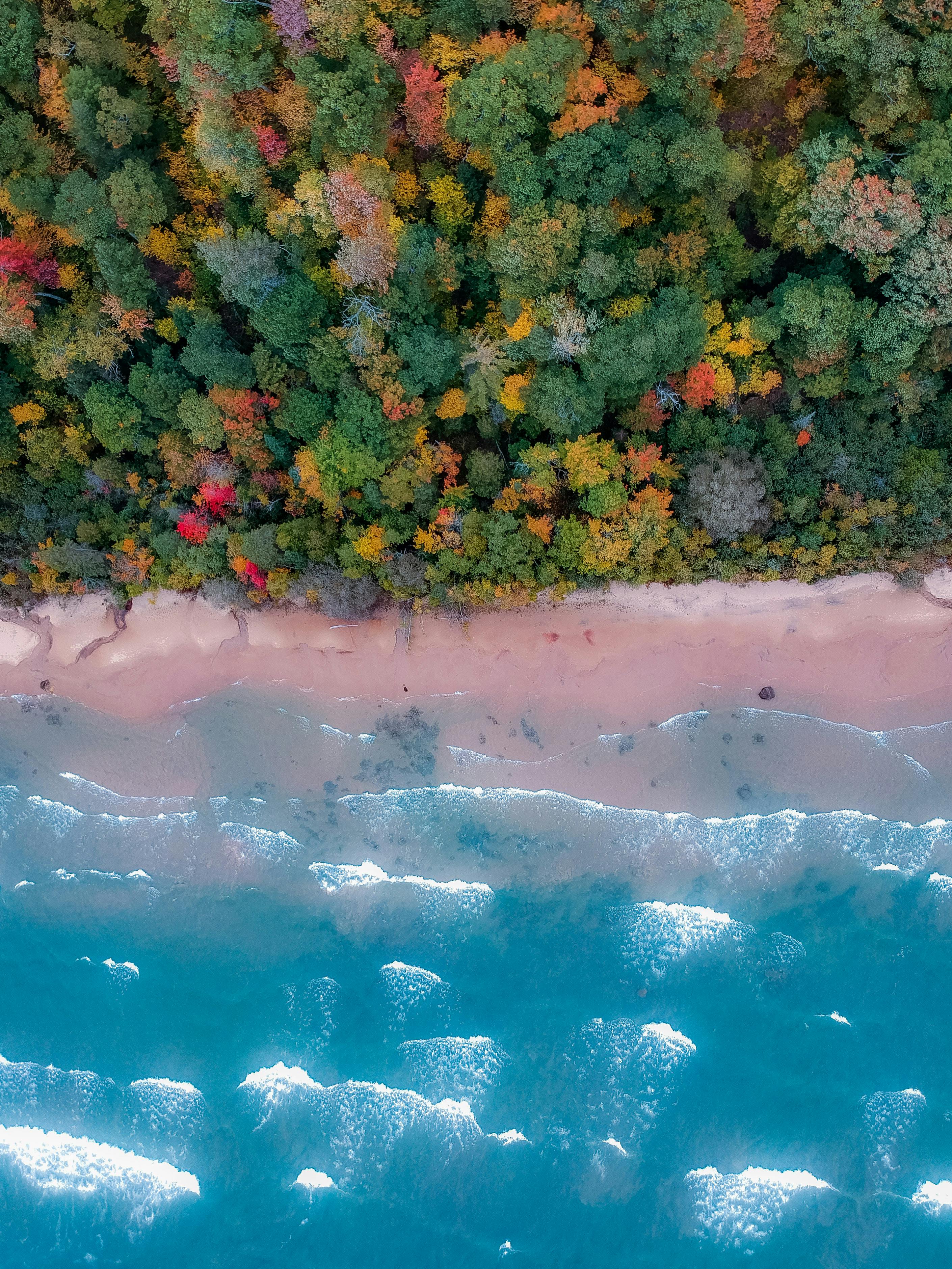 Mohan Reddy - Photography