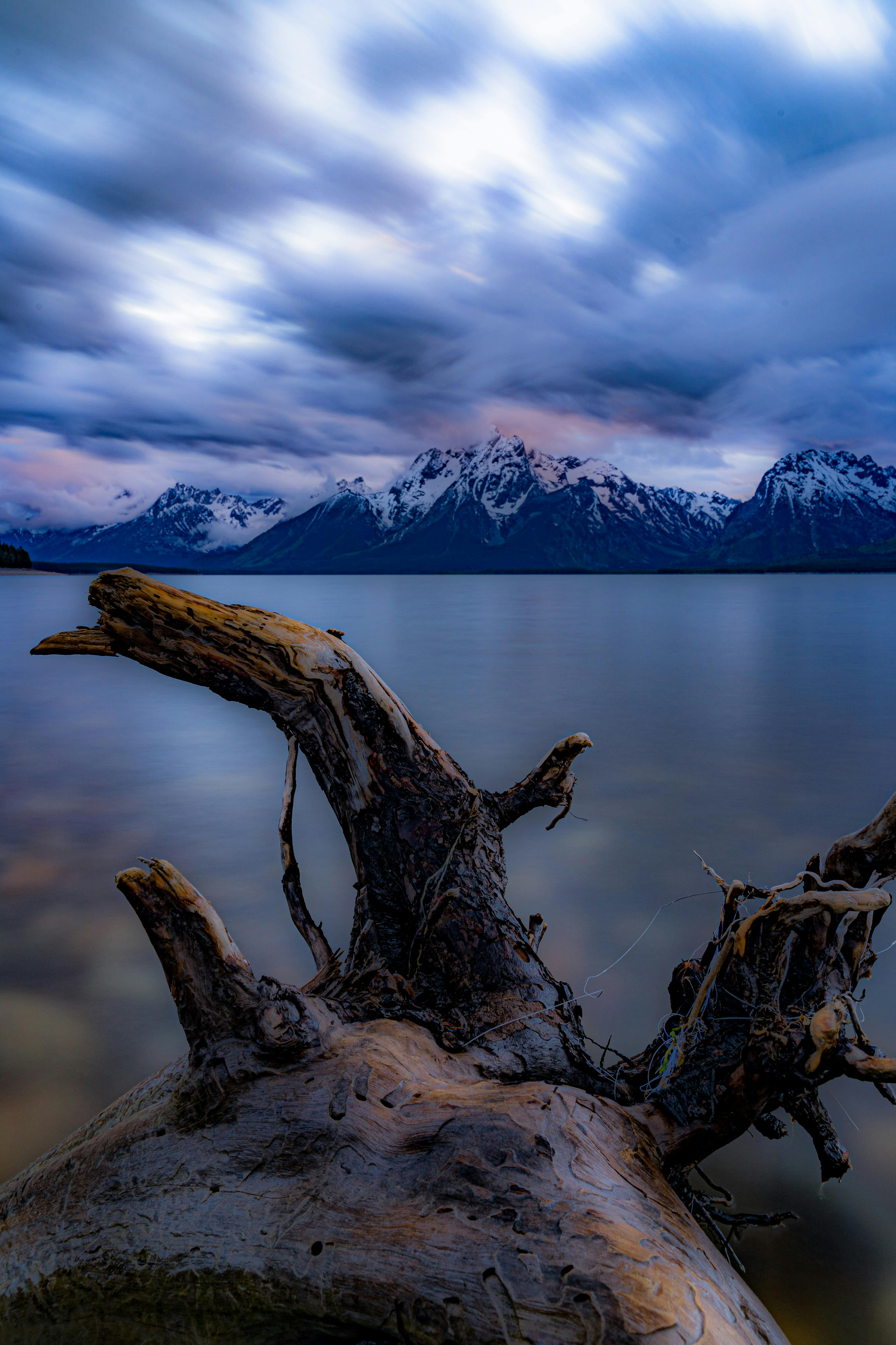 Mohan Reddy - Photography