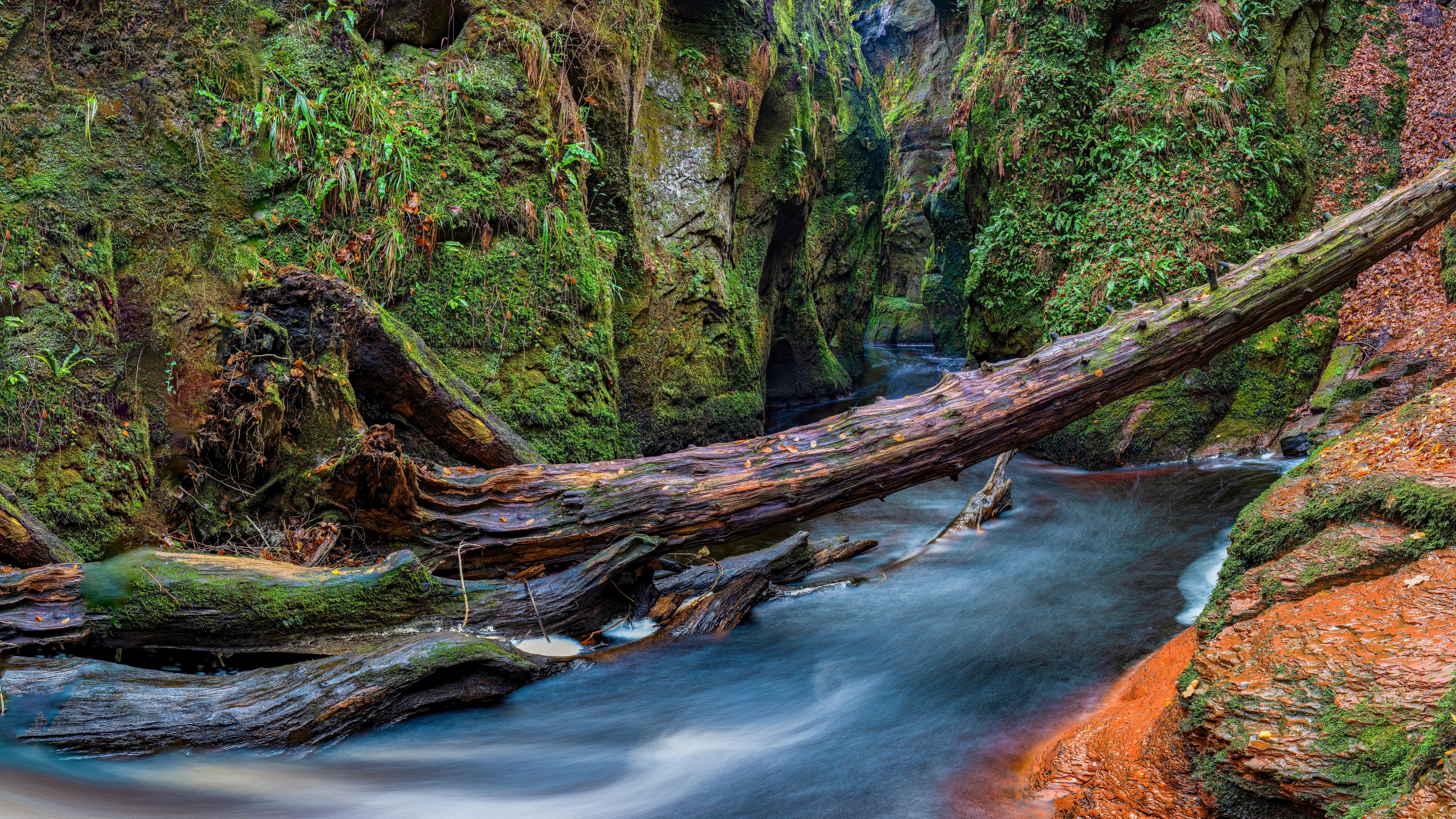 Brown Tree Log Across the River · Free Stock Photo