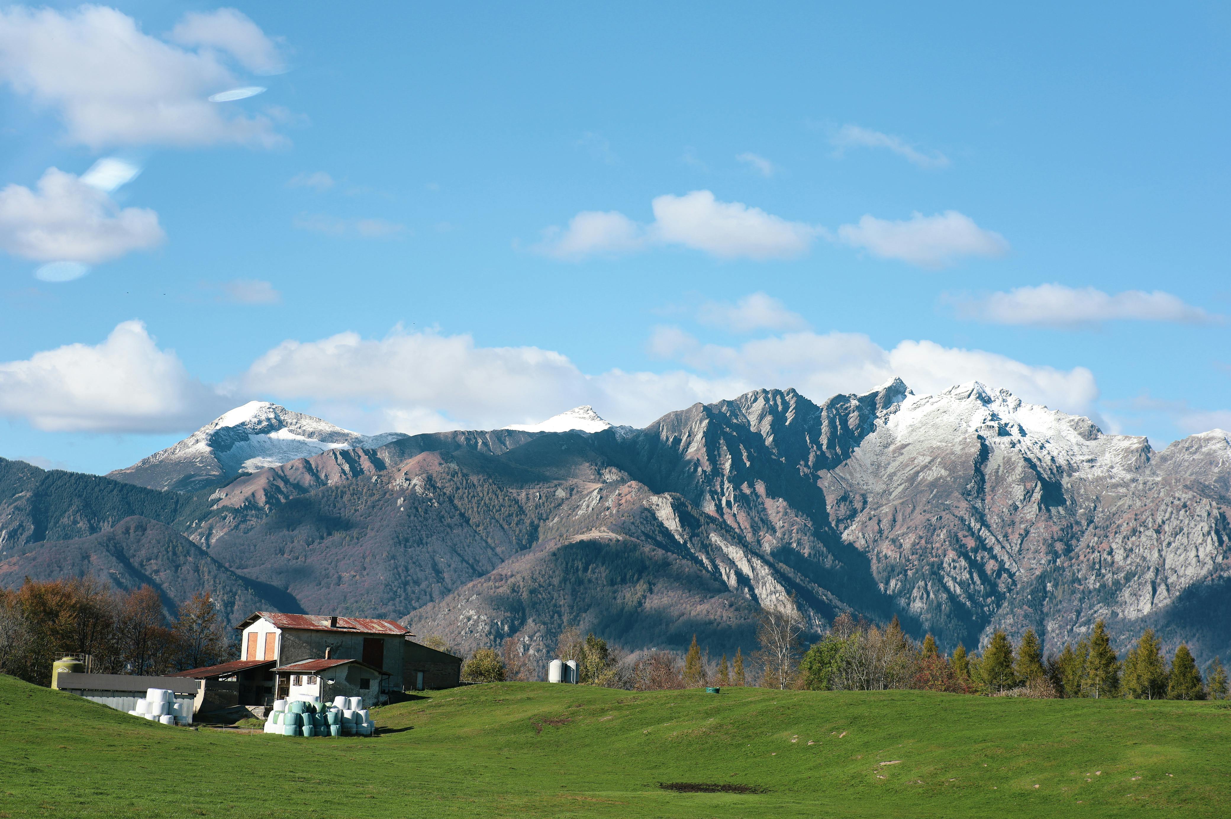 Dying Grass Wallpaper Photos, Download The BEST Free Dying Grass ...