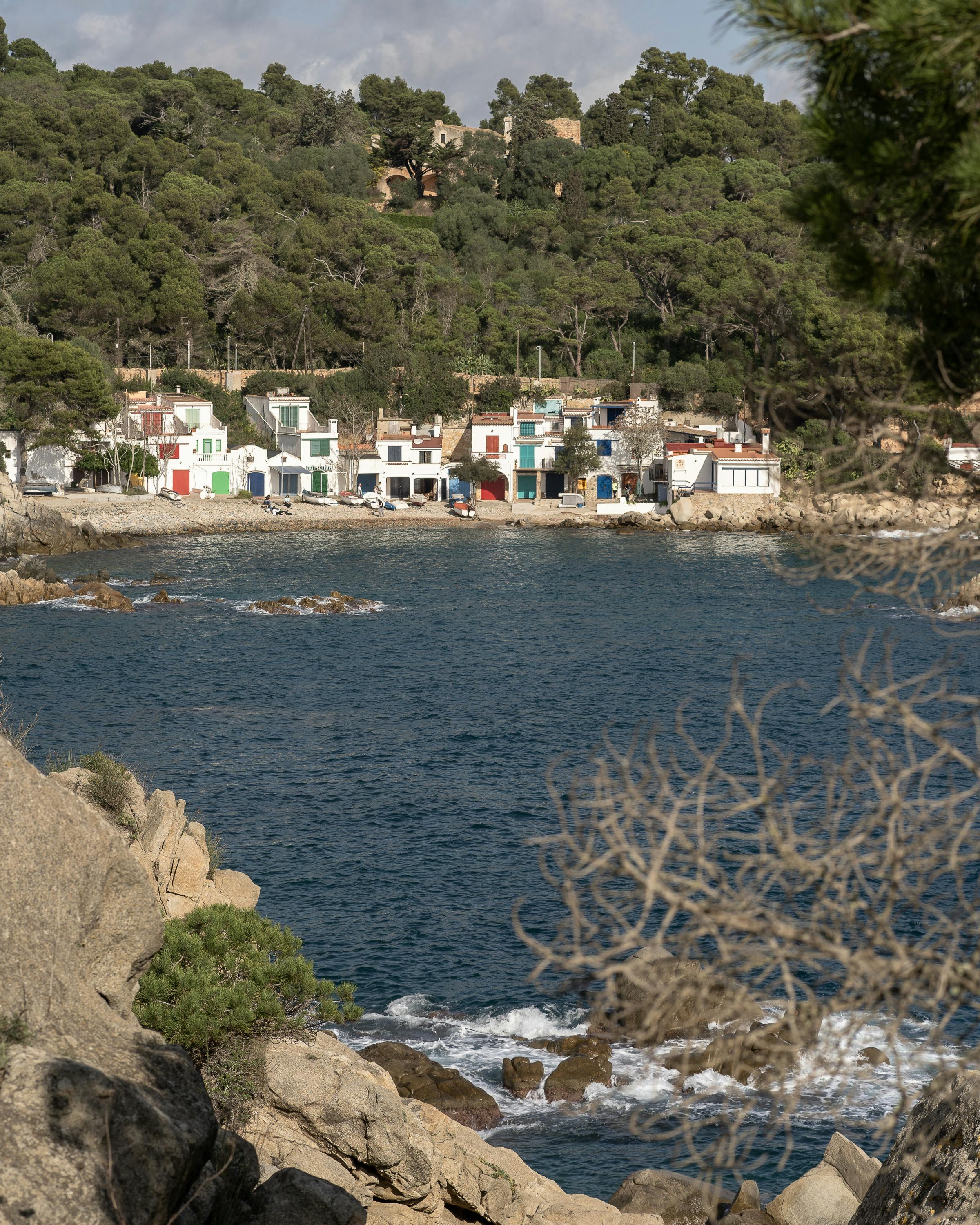 George Sultan - 사진