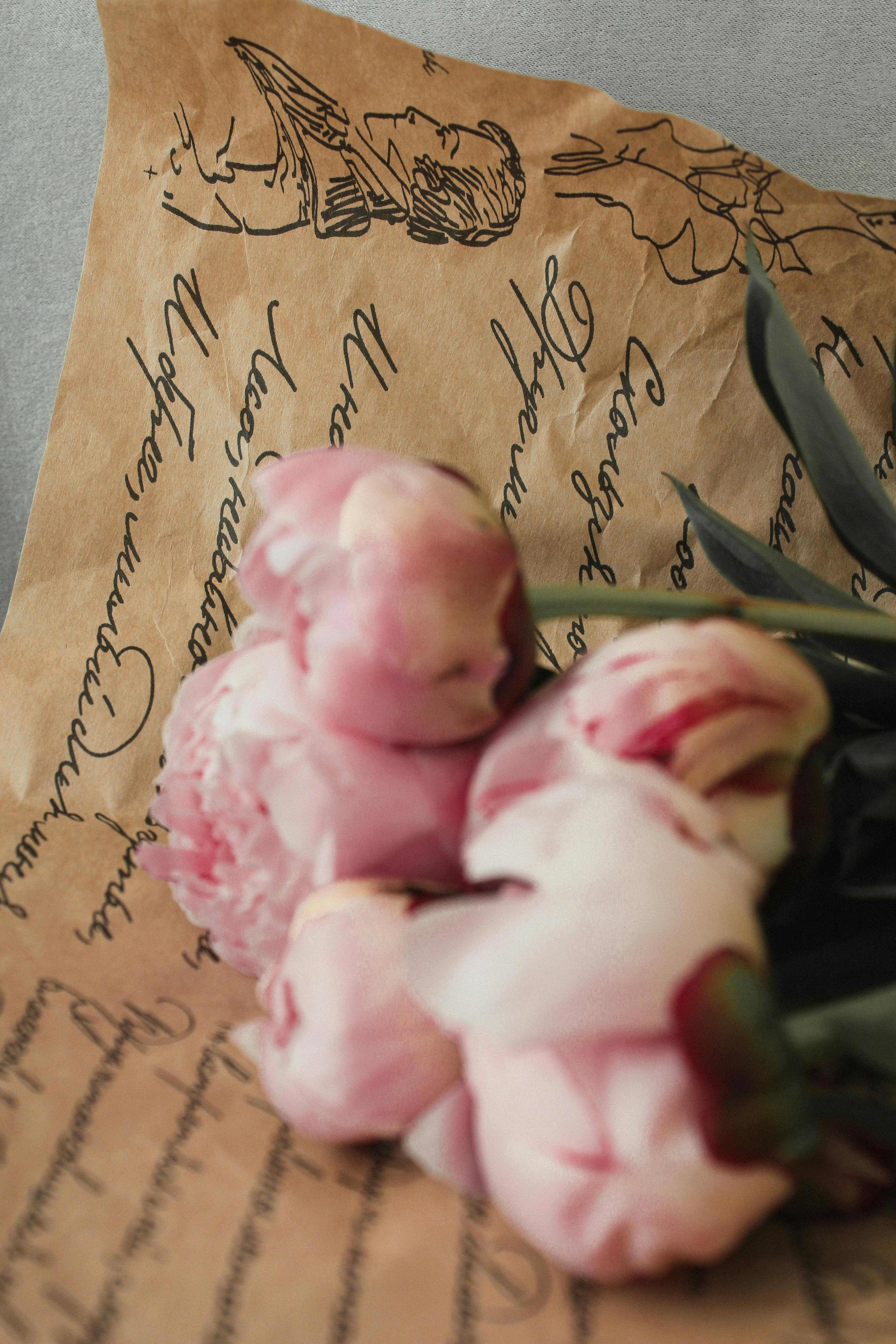Pink Roses on Brown Paper · Free Stock Photo