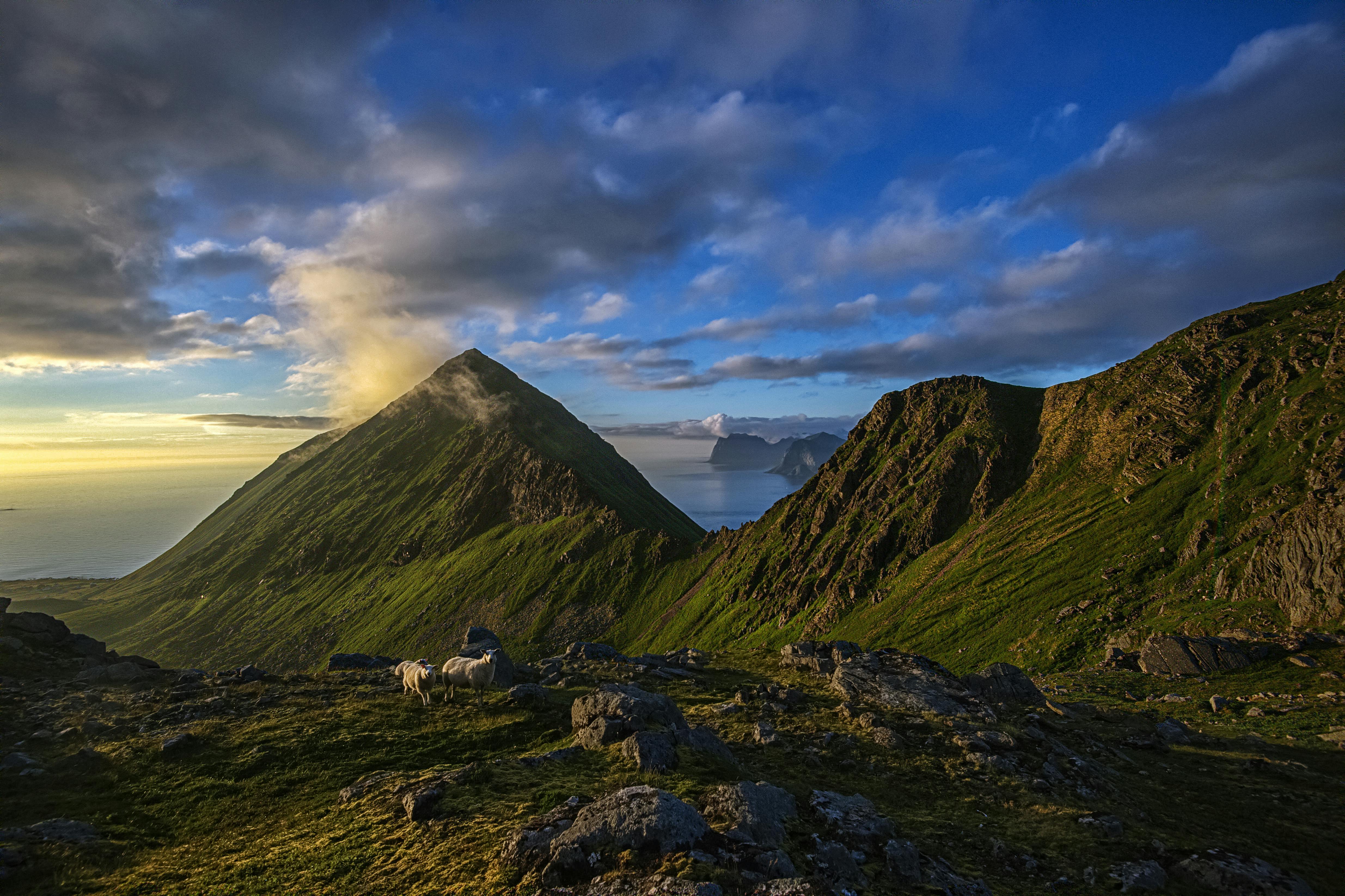Green Mountain Side Near Body of Water · Free Stock Photo