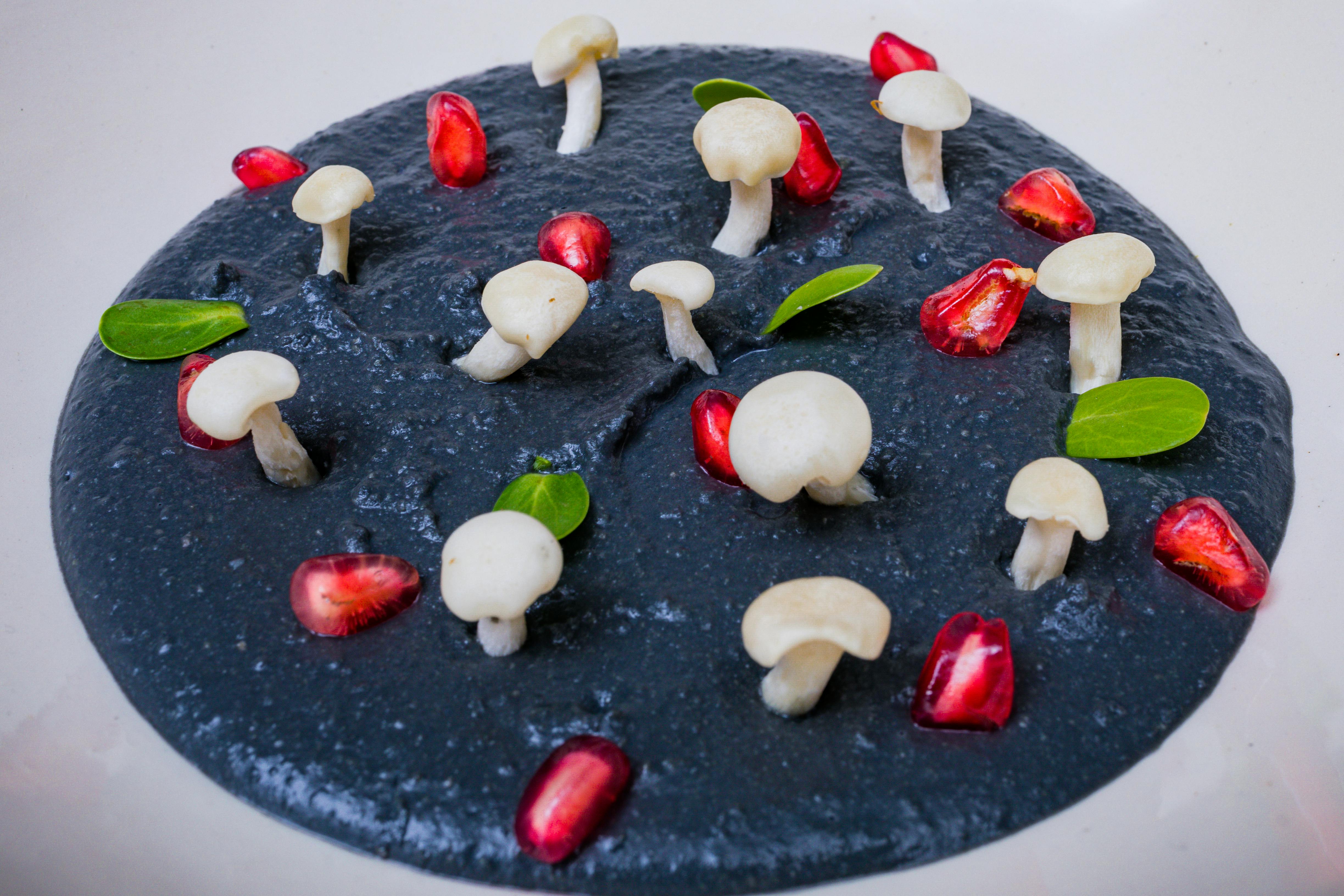 Mushrooms and Pomegranate Seeds on Slime · Free Stock Photo