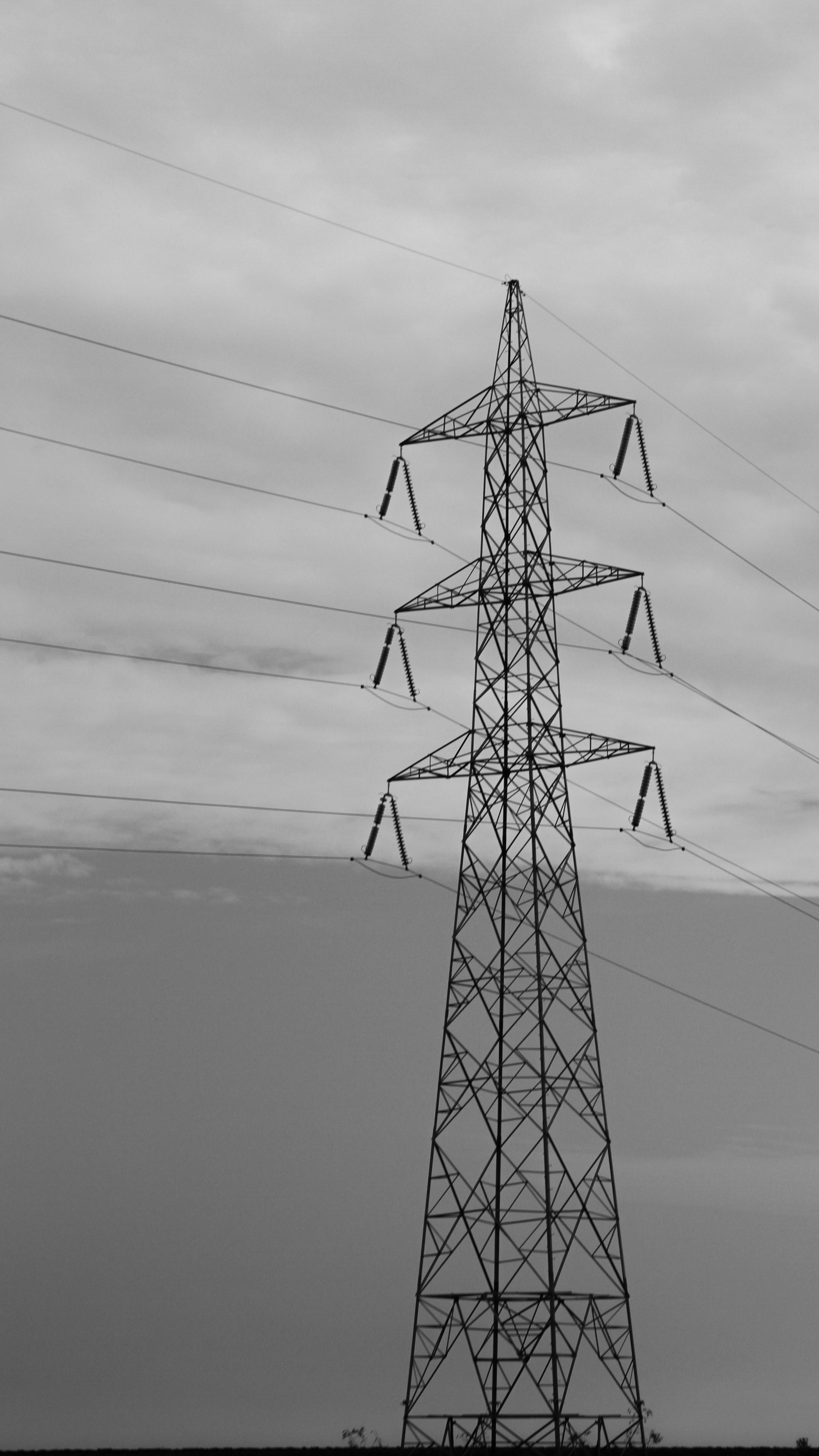 Electric Posts on Dry Field · Free Stock Photo