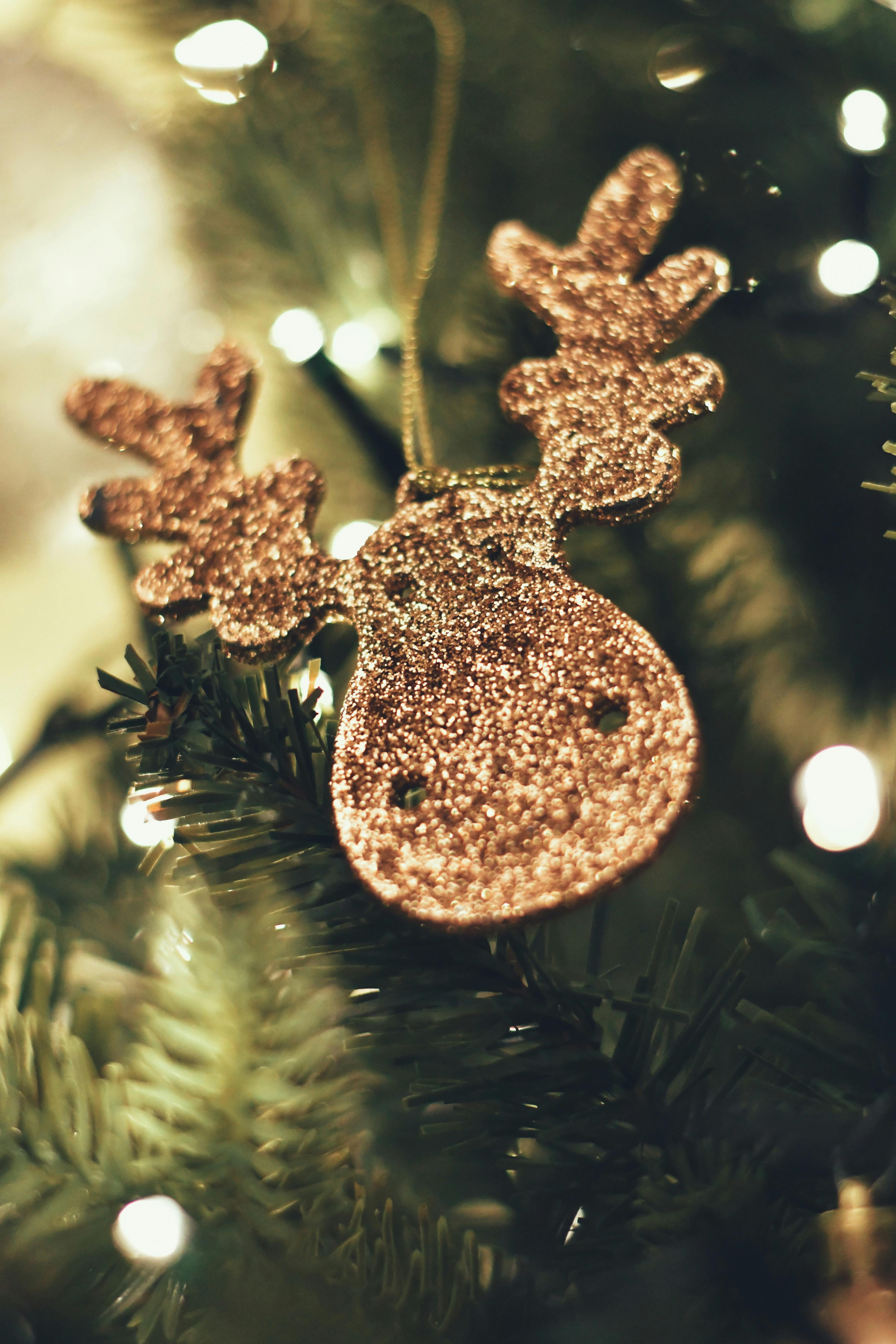 Far Lights Photos, Download The BEST Free Far Lights Stock Photos & HD ...