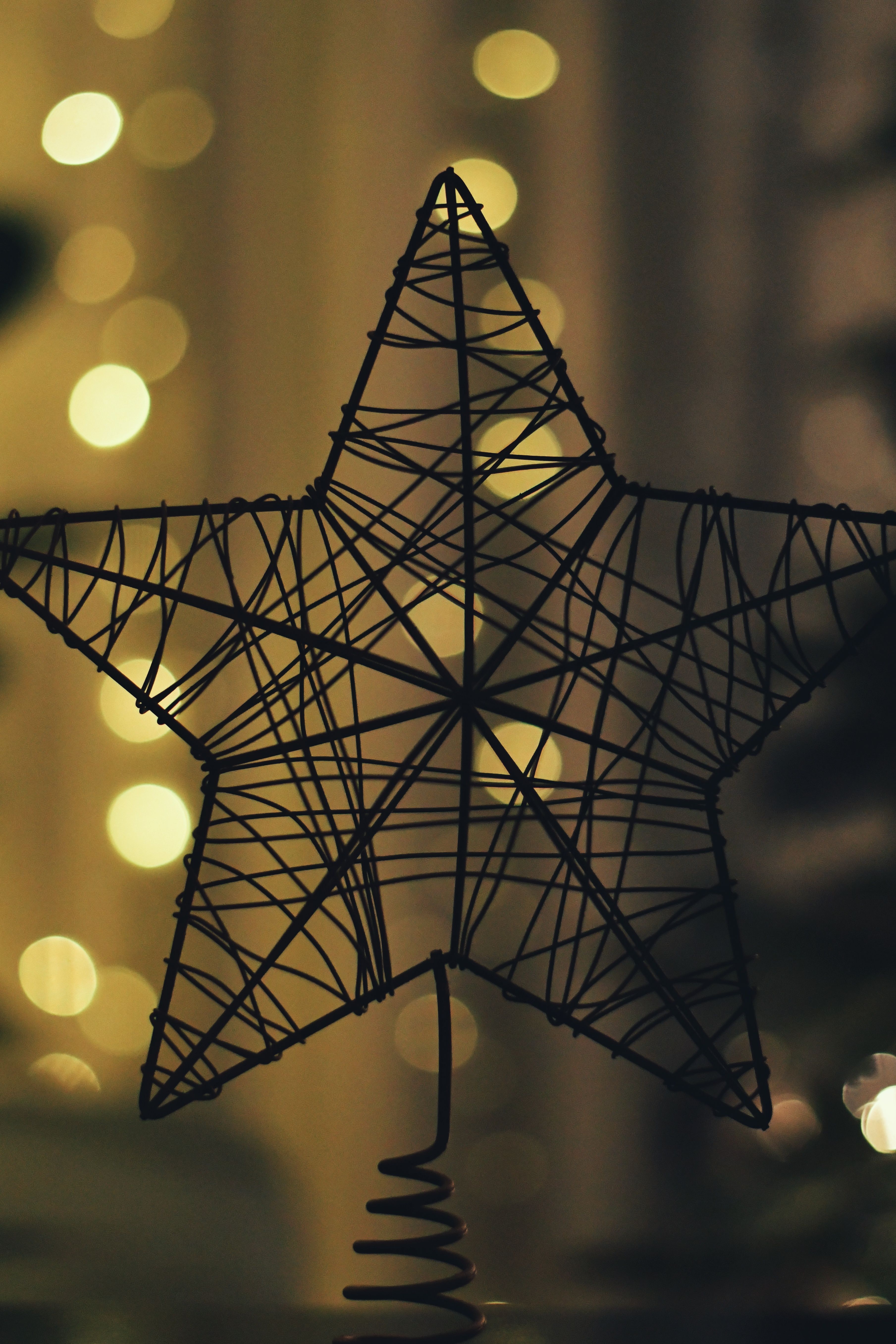 Close-up of a Star · Free Stock Photo