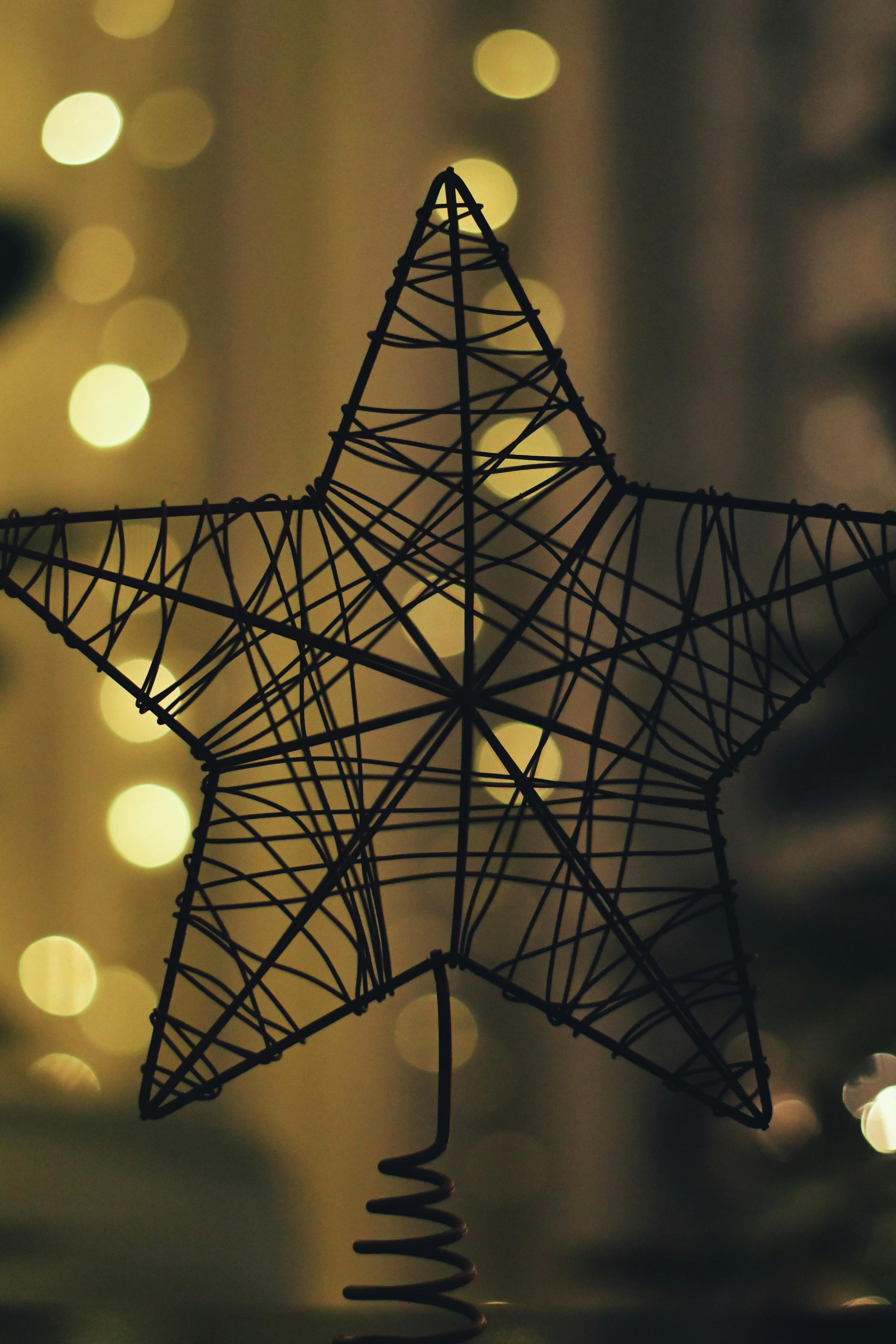 Close-up of a Star · Free Stock Photo