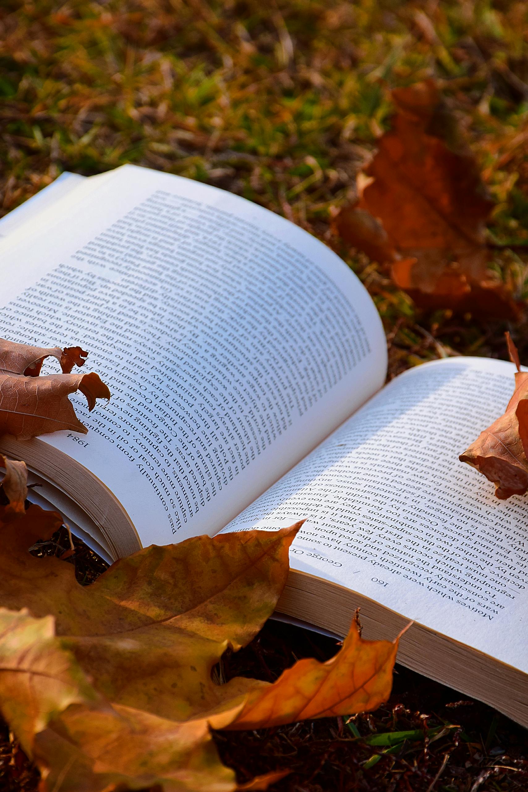 Book Page on Green Grass · Free Stock Photo