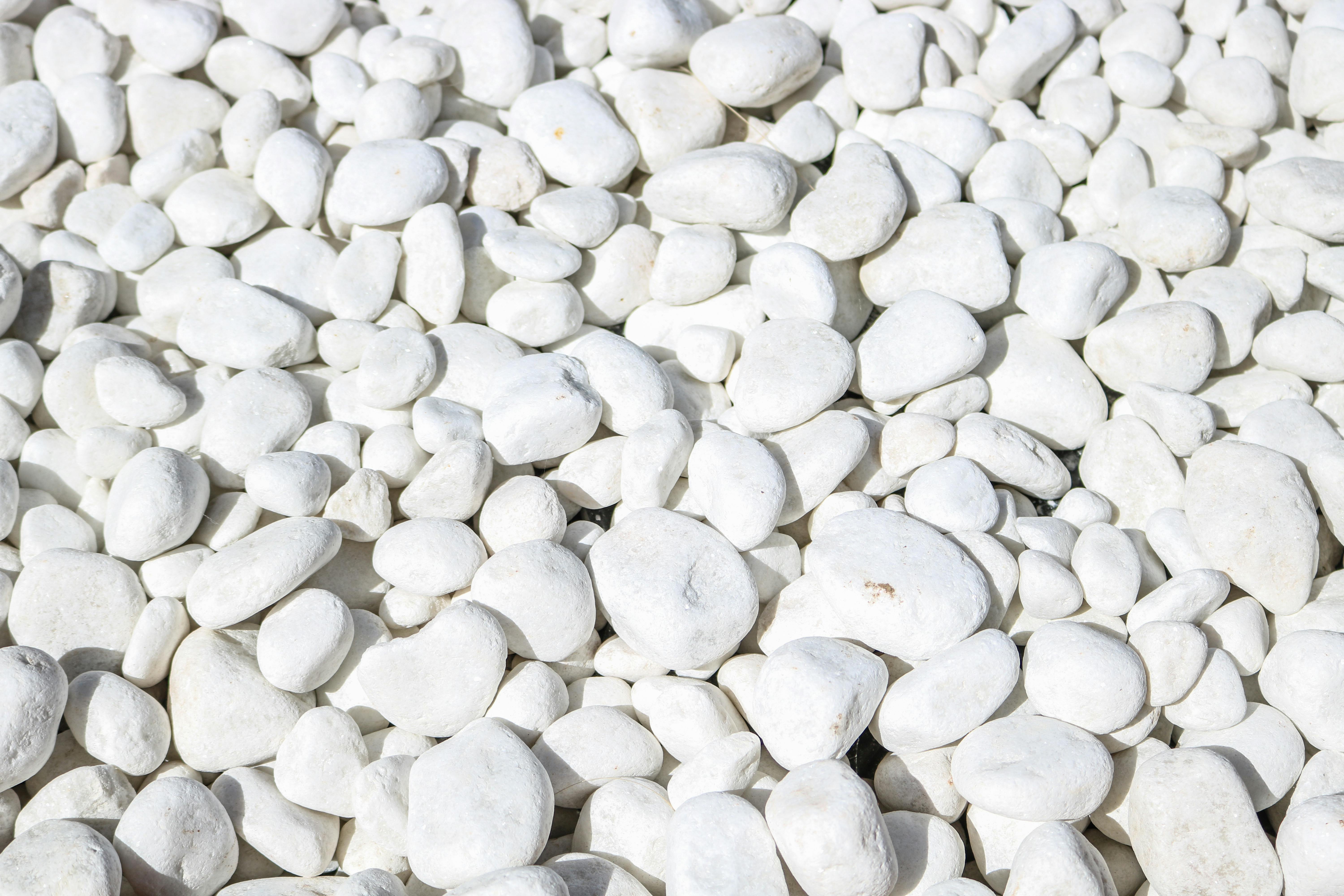 Close up of White Pebbles · Free Stock Photo