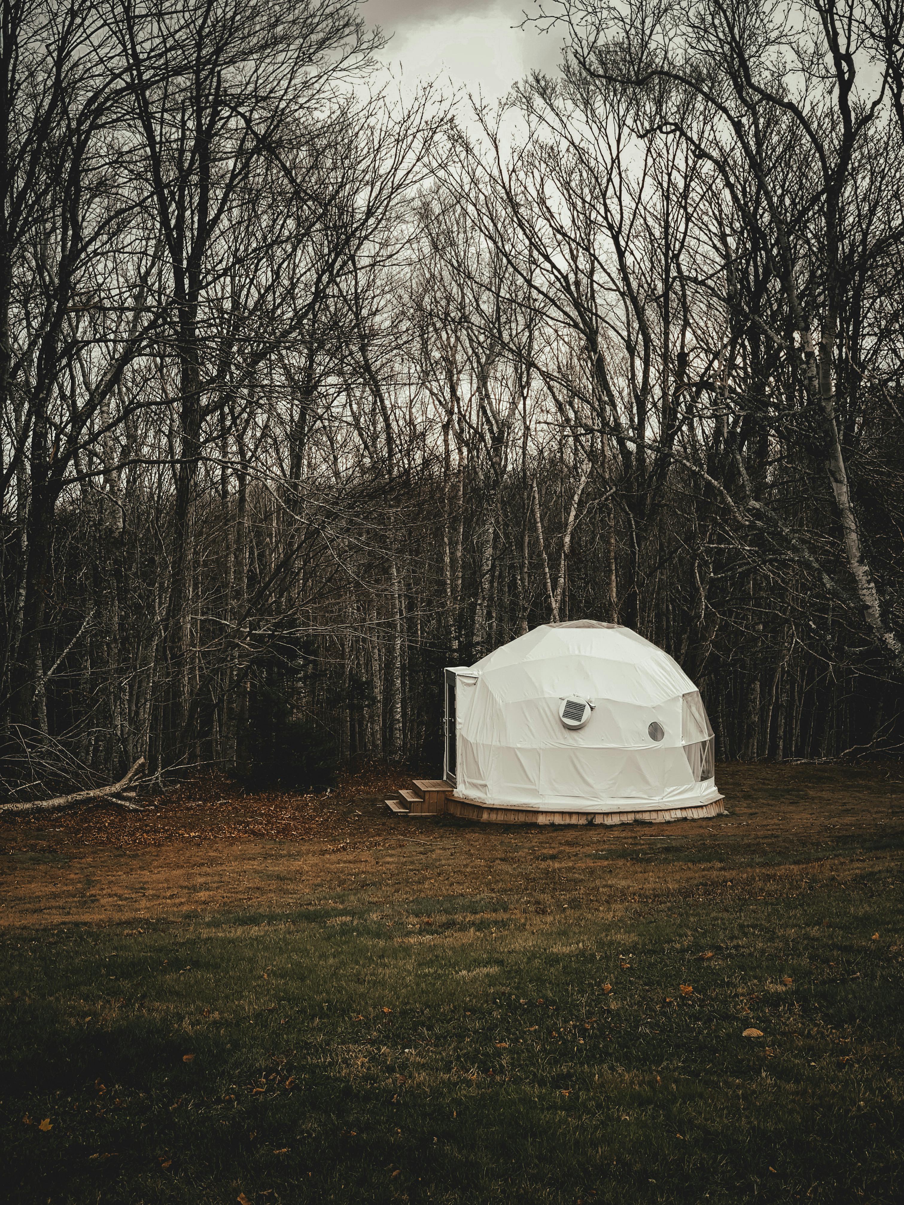 Tent under Trees · Free Stock Photo