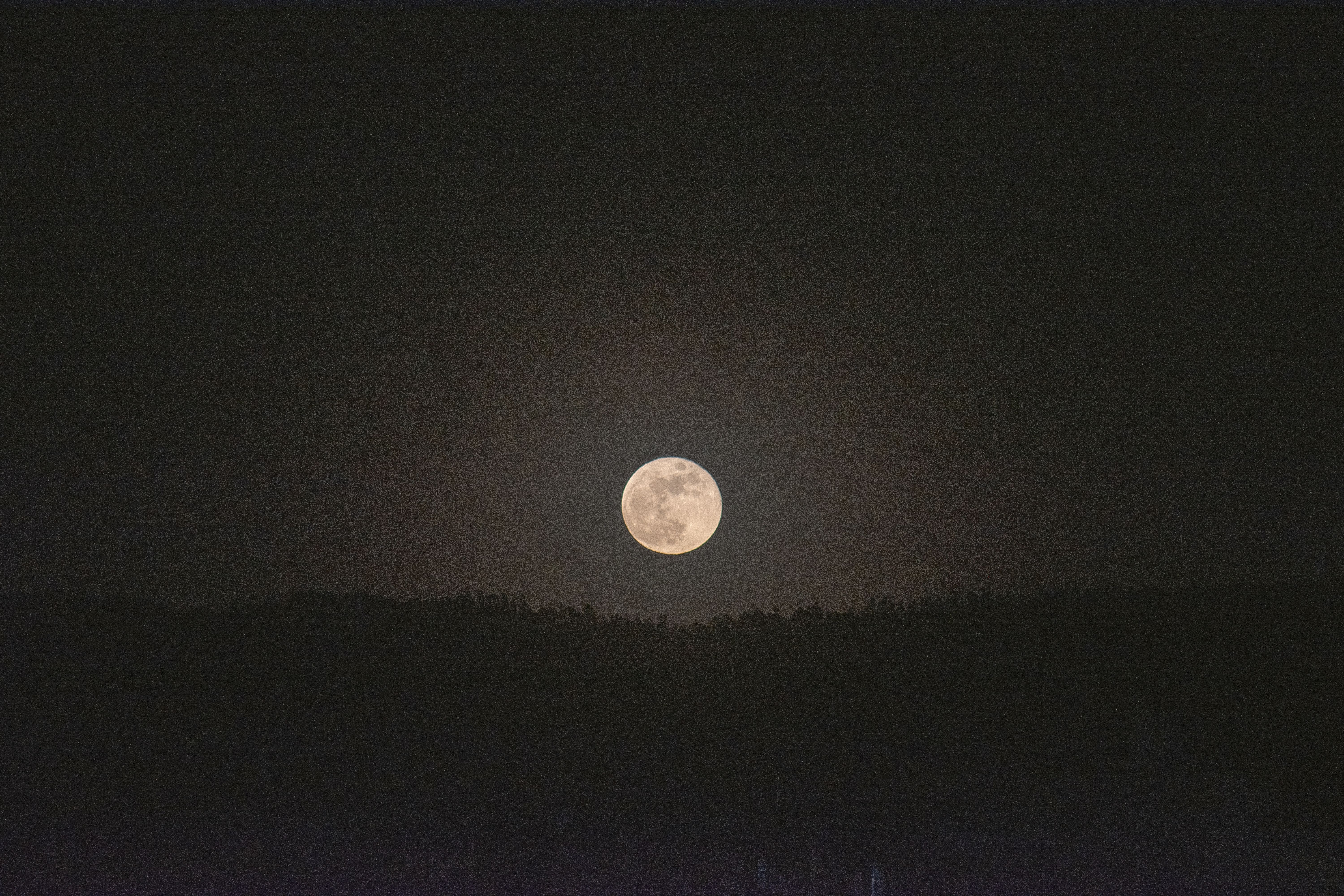 Full Moon in the Sky · Free Stock Photo
