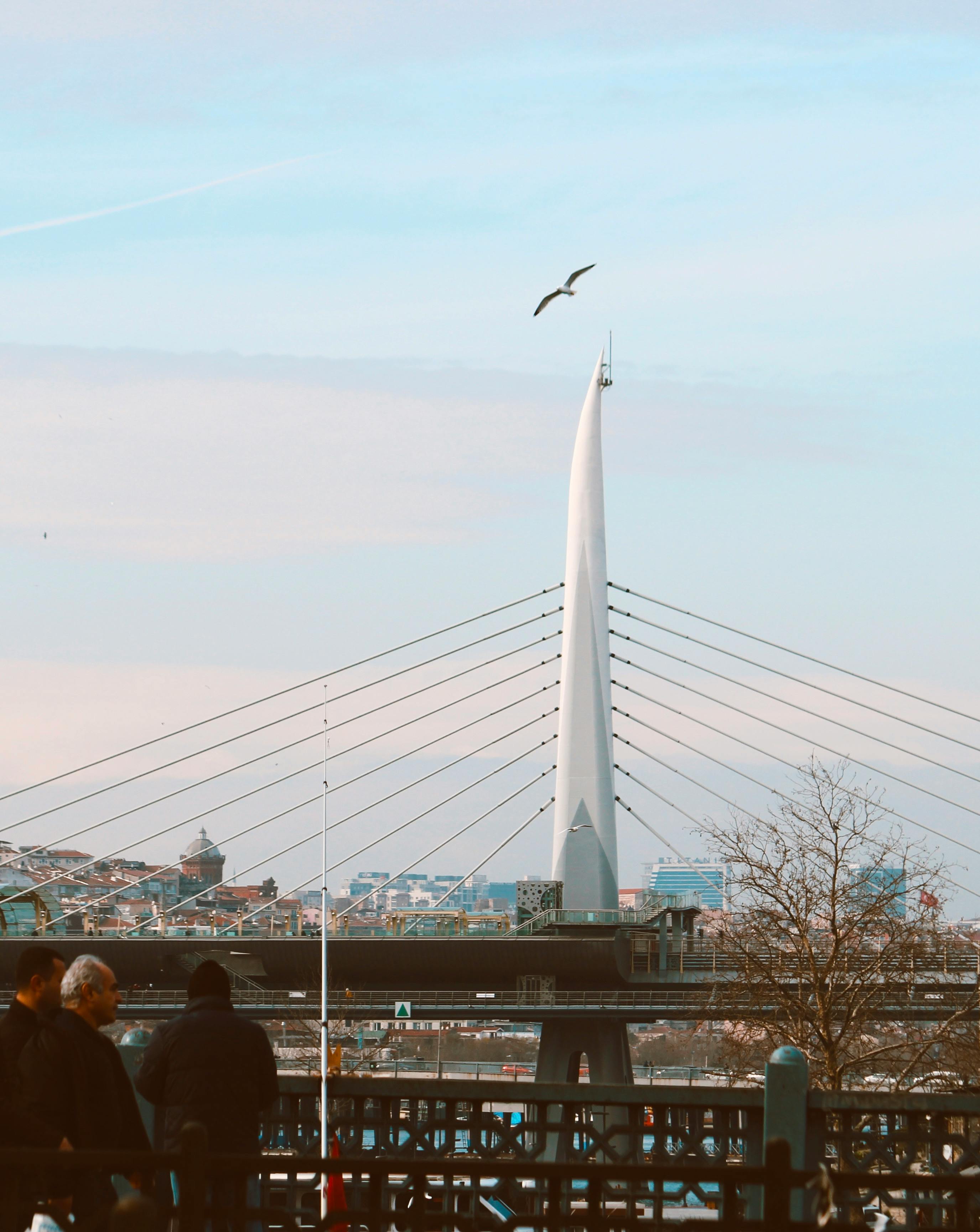 Golden Horn Bridge · Free Stock Photo