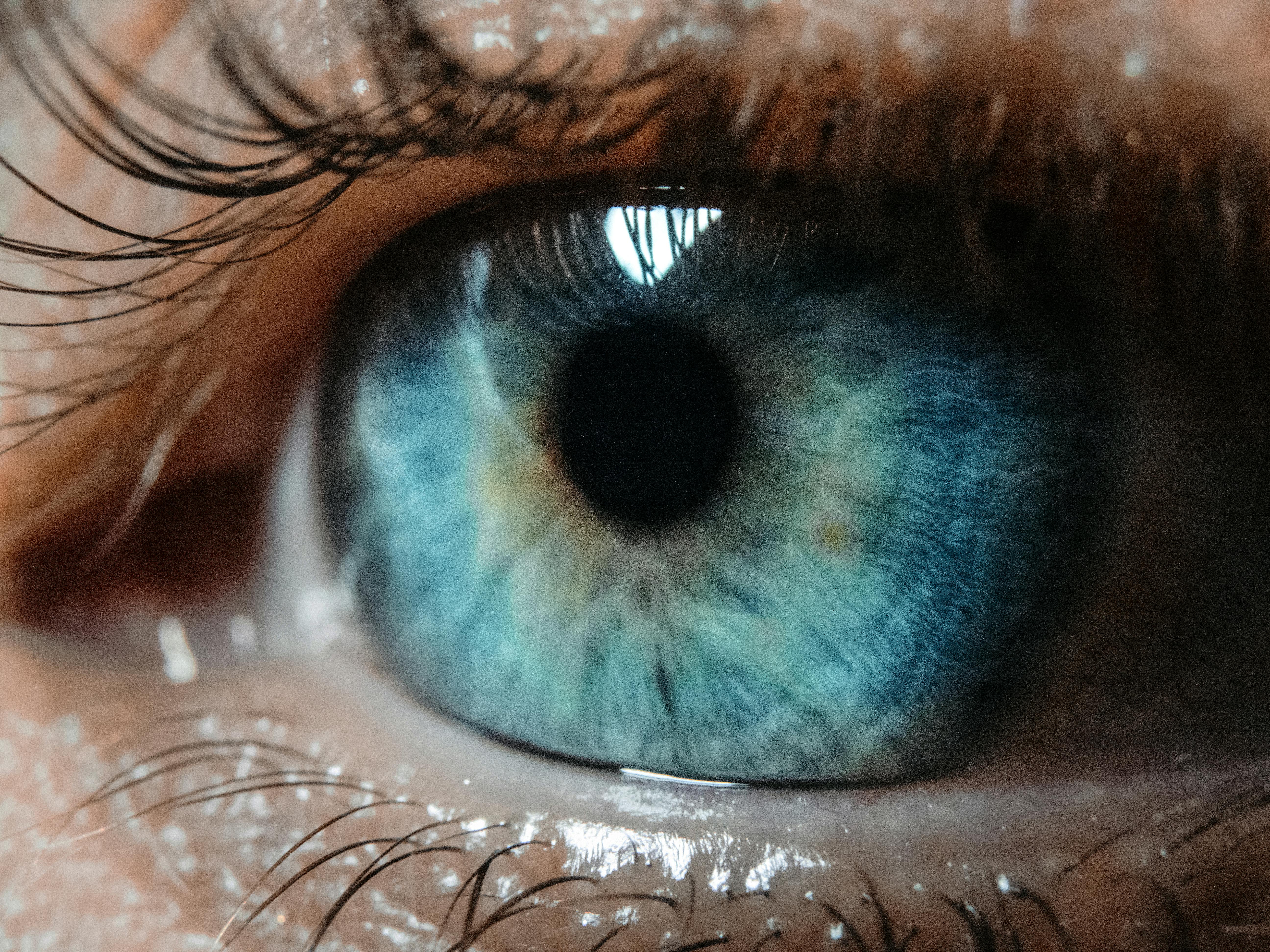 Close-up of a Blue Eye · Free Stock Photo