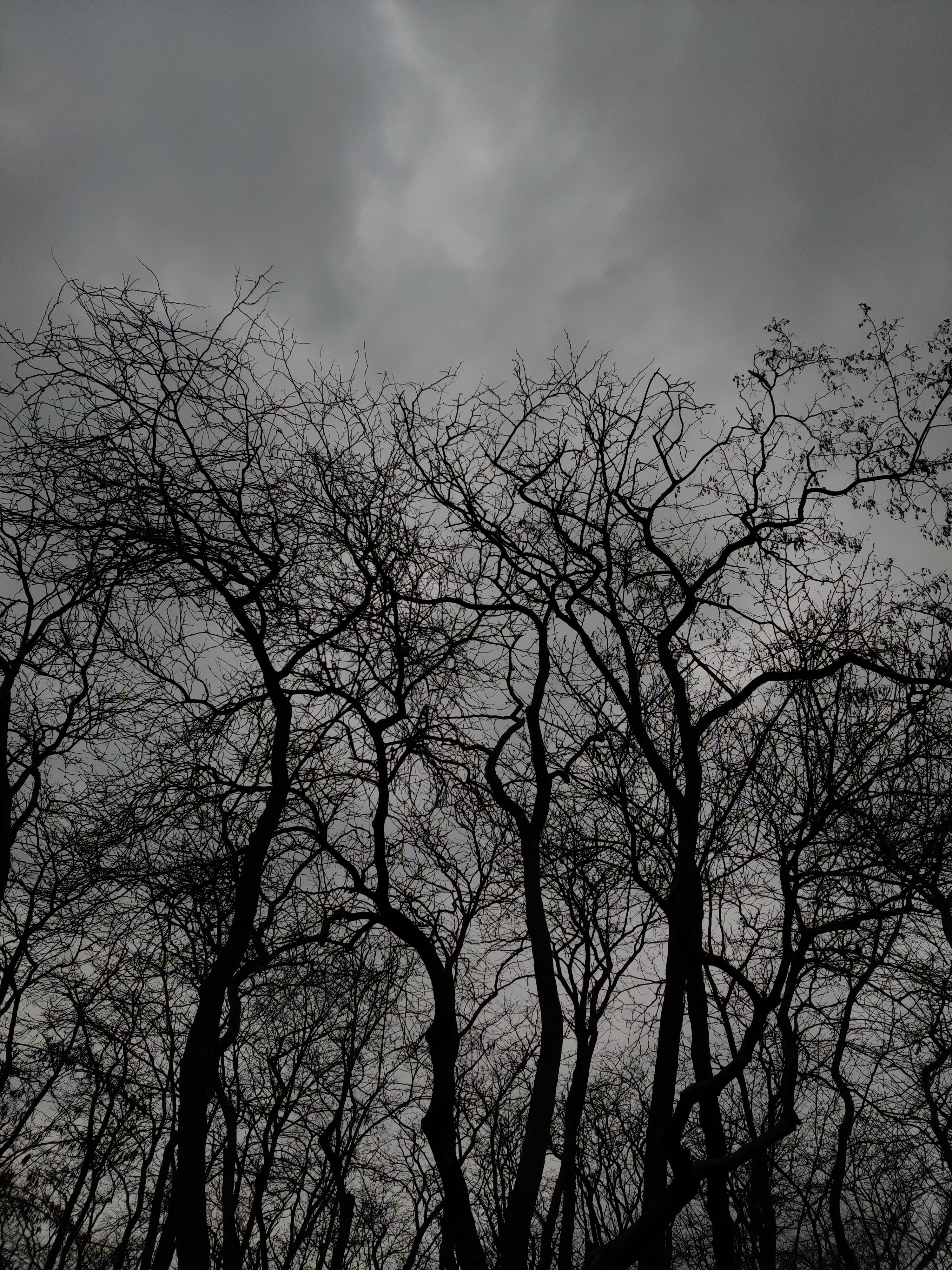 Dark And Foreboding Landscapes Photos, Download The BEST Free Dark And ...