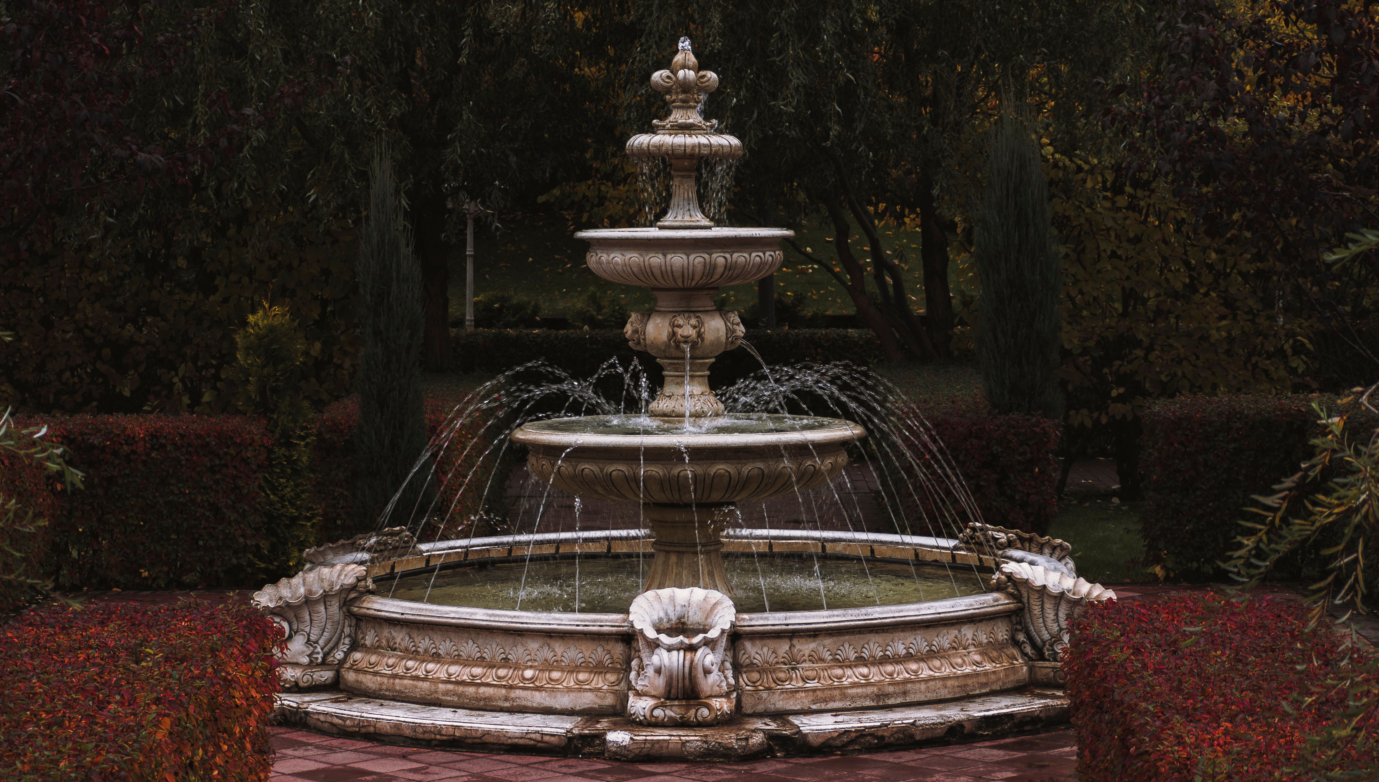 Cean Water Photos, Download The BEST Free Cean Water Stock Photos & HD ...